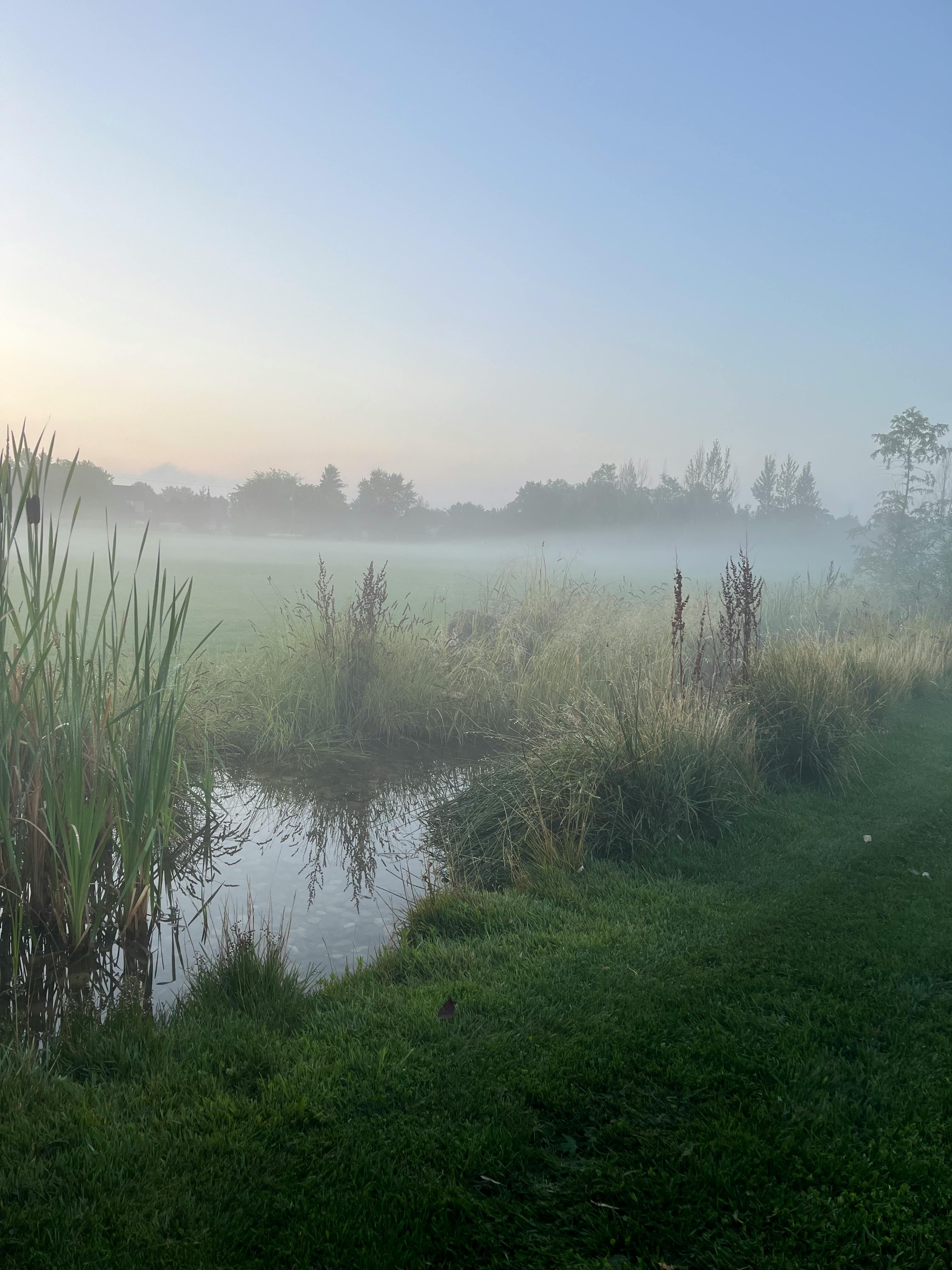 Sunrise Marsh Photos, Download The BEST Free Sunrise Marsh Stock Photos ...
