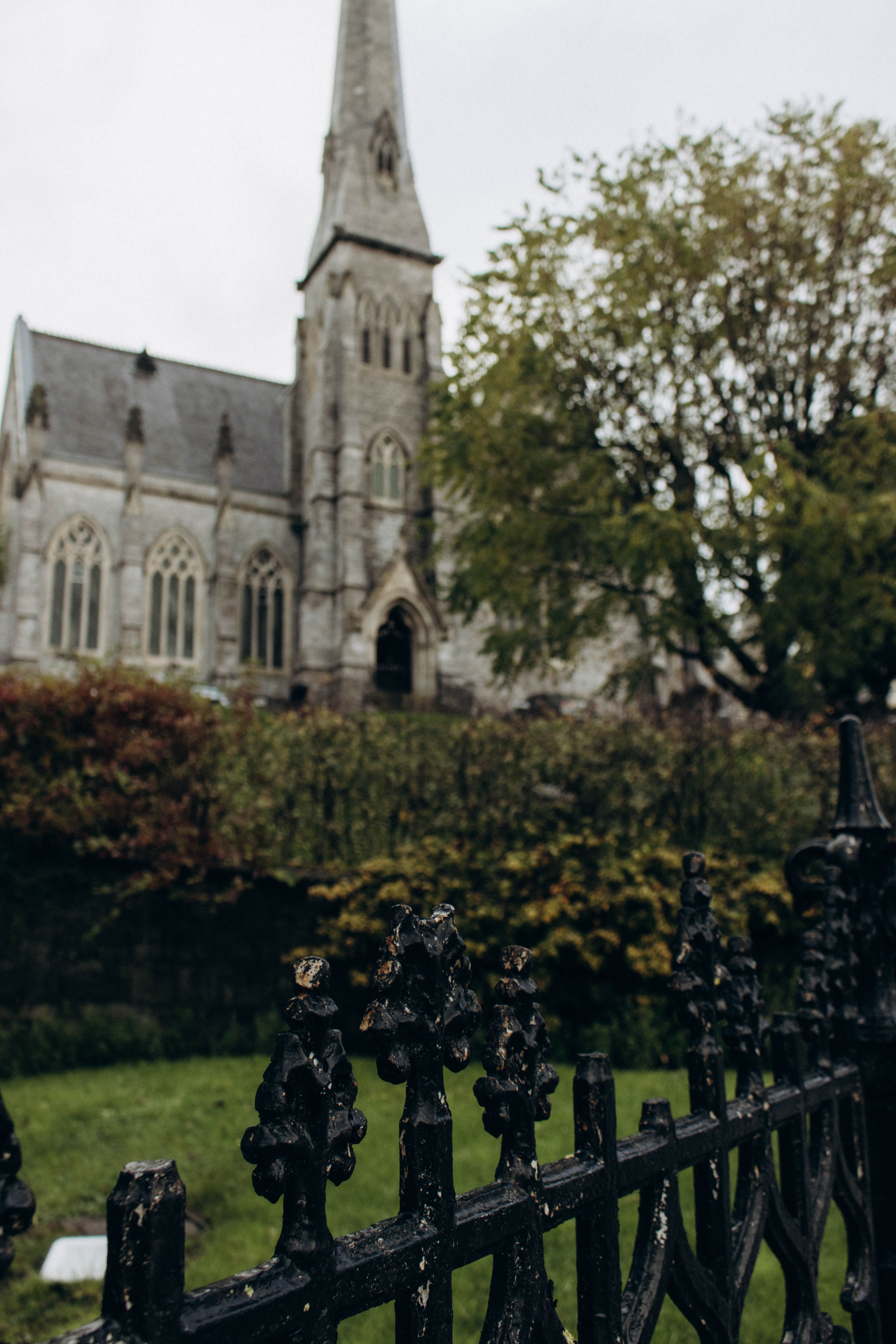 Trees and Church with Tower behind · Free Stock Photo