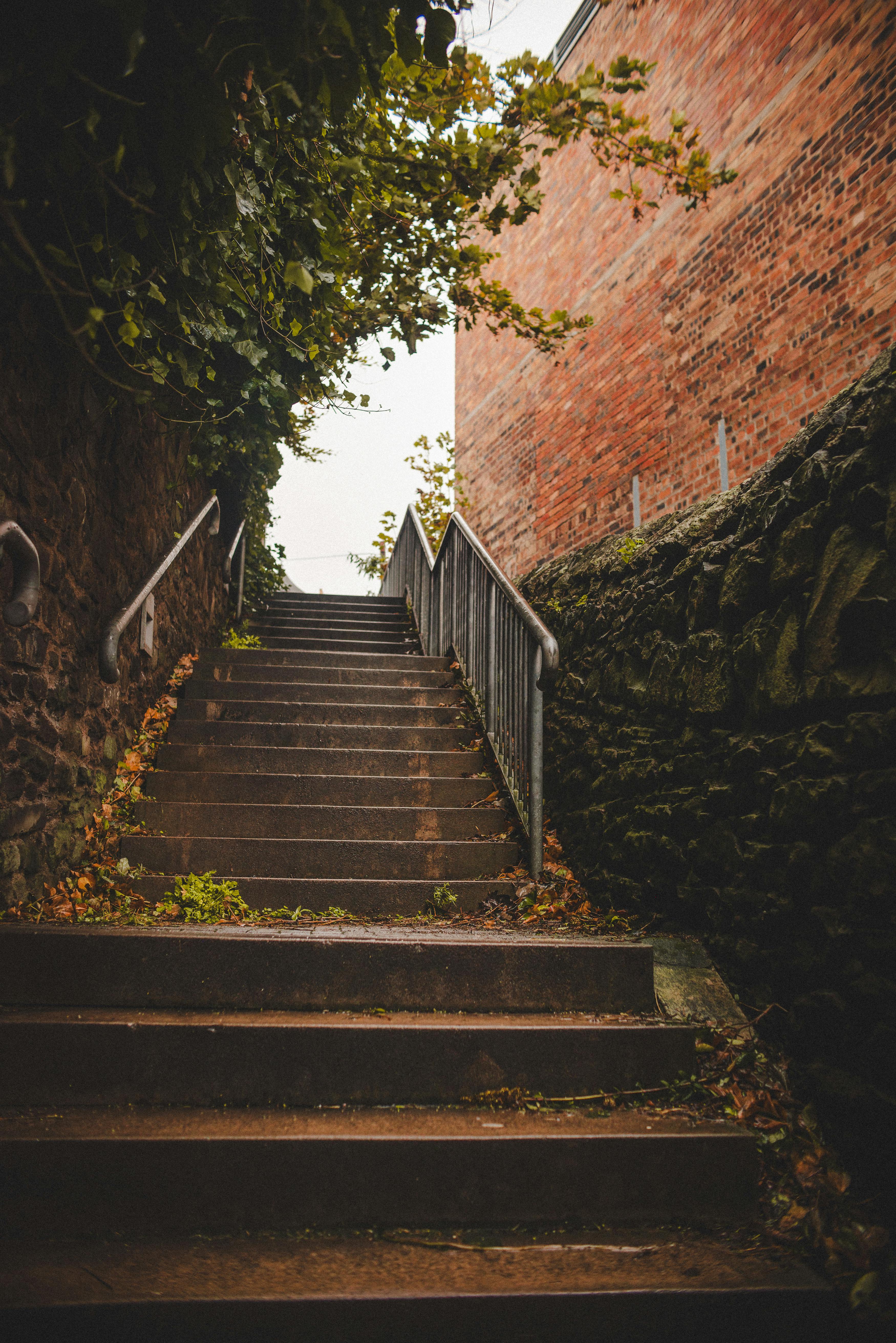 Flowchart Approach Steps Photos, Download The BEST Free Flowchart ...