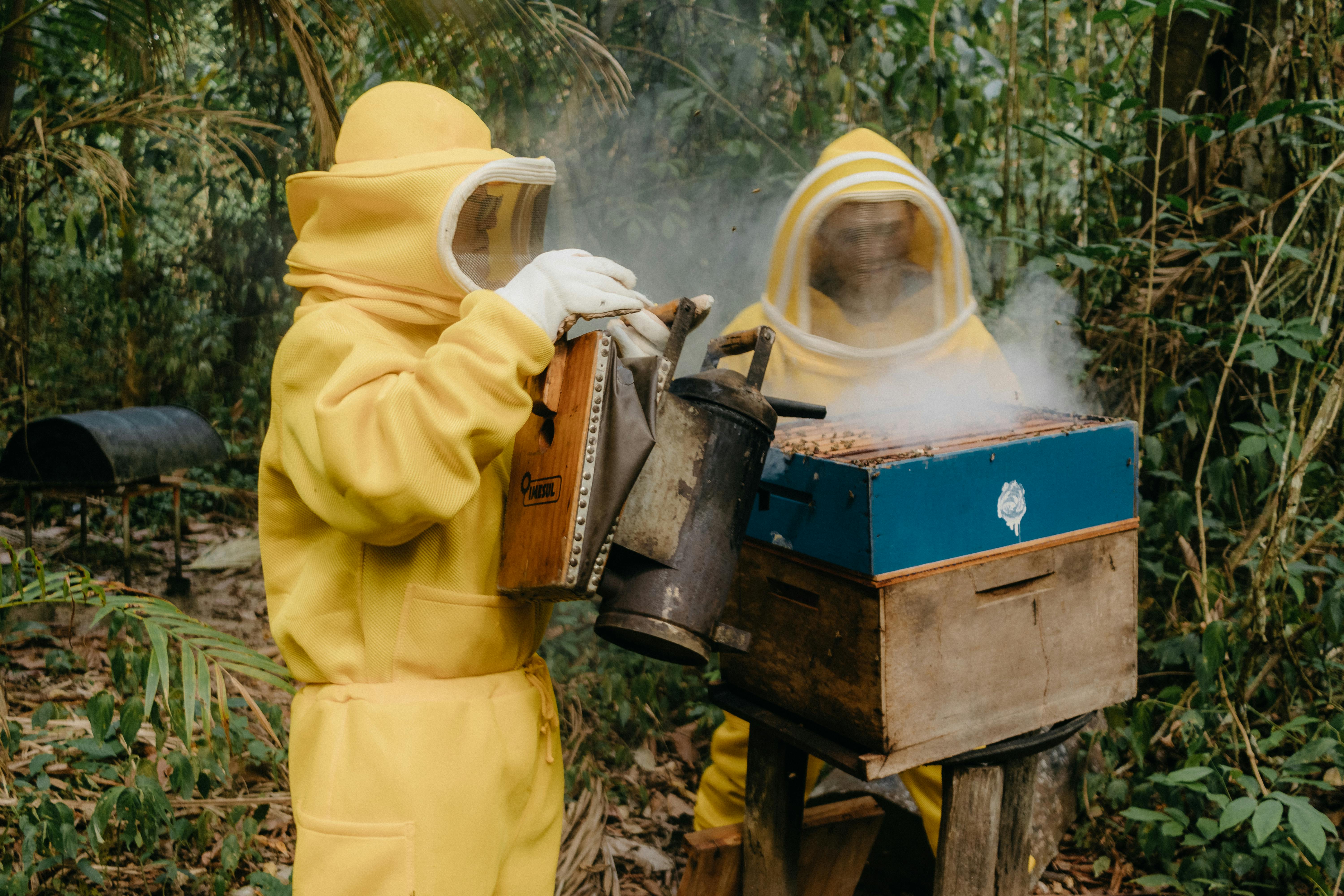 Two Beekeepers Calming Down Bees with a Smoke · Free Stock Photo