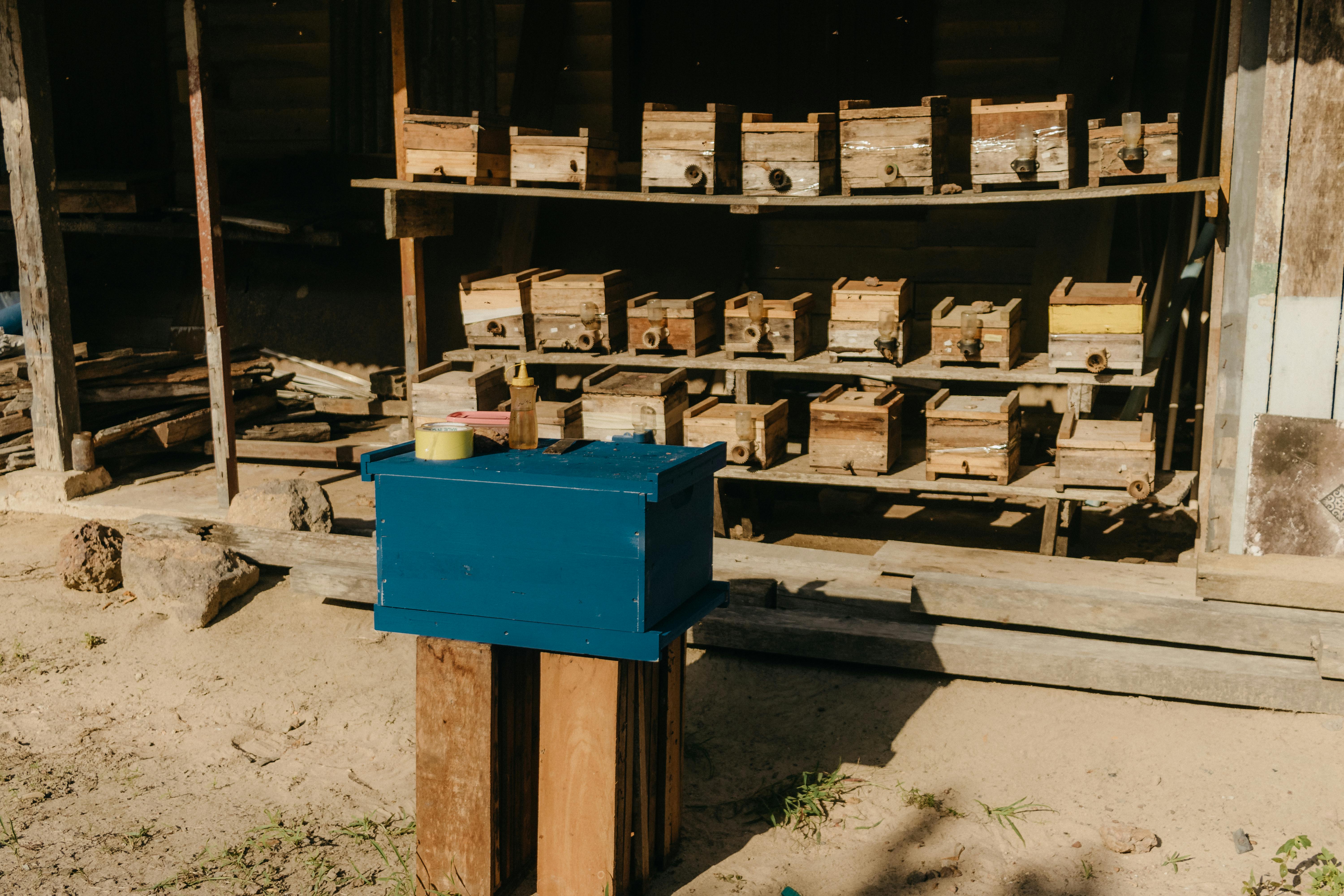A beekeeper's hut with a blue box and a wooden table · Free Stock Photo