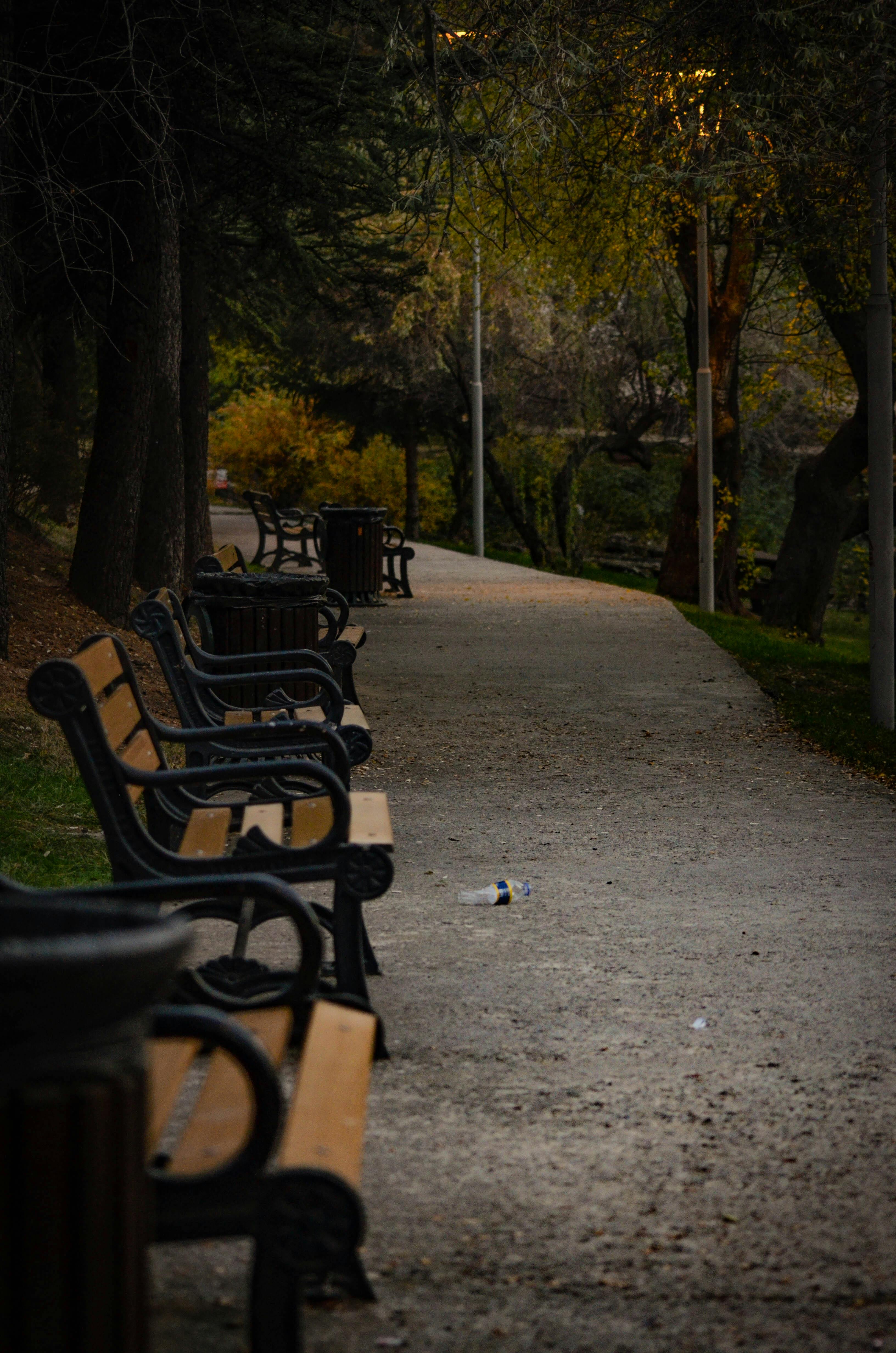 Elif Deniz Karabacak - 攝影