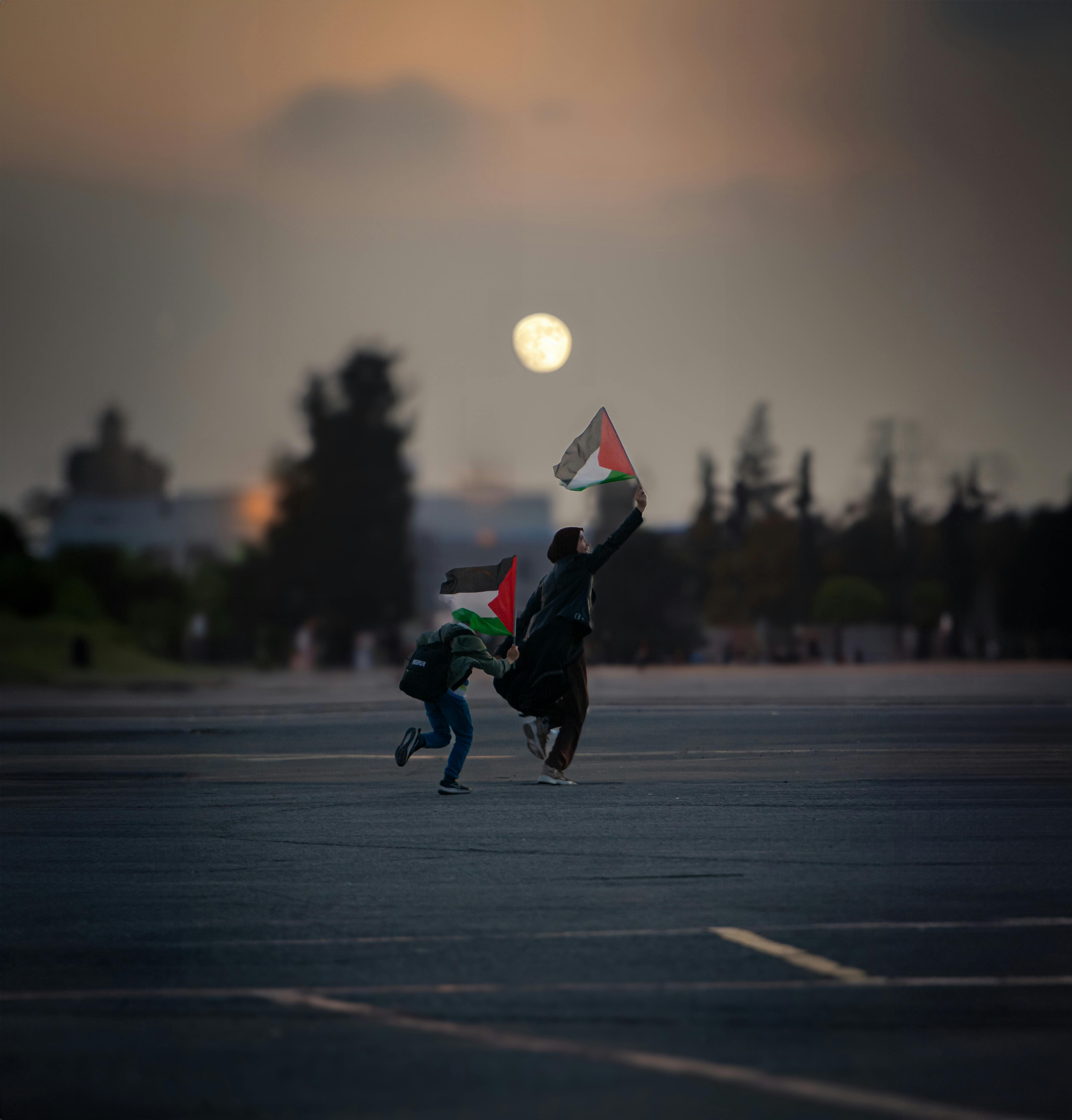 Gaza Photos, Download The BEST Free Gaza Stock Photos & HD Images