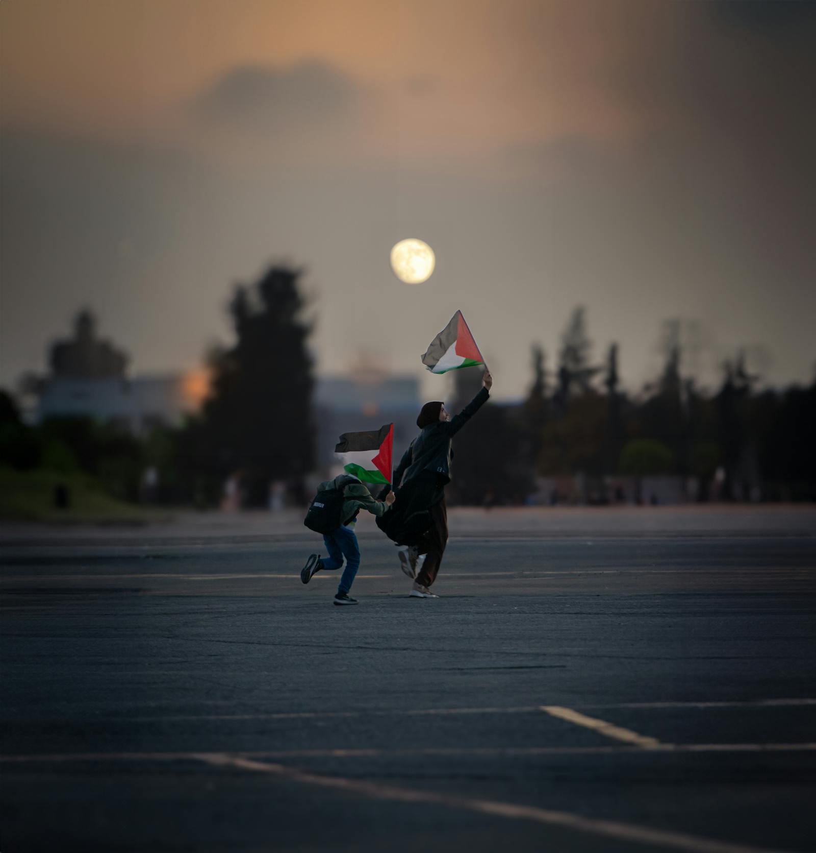 Palestine Photos, Download The BEST Free Palestine Stock Photos & HD Images