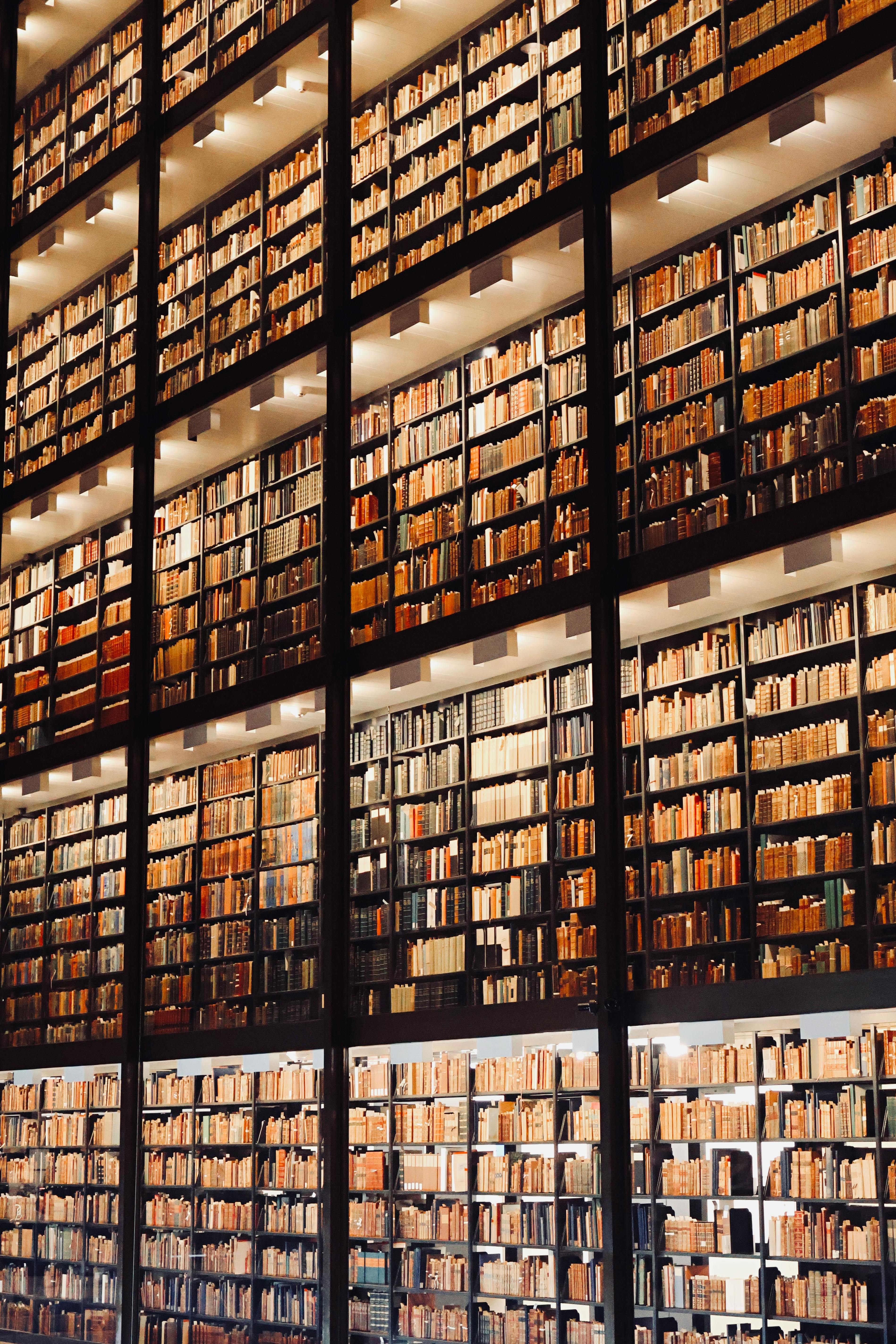 Books on Shelves in Library · Free Stock Photo