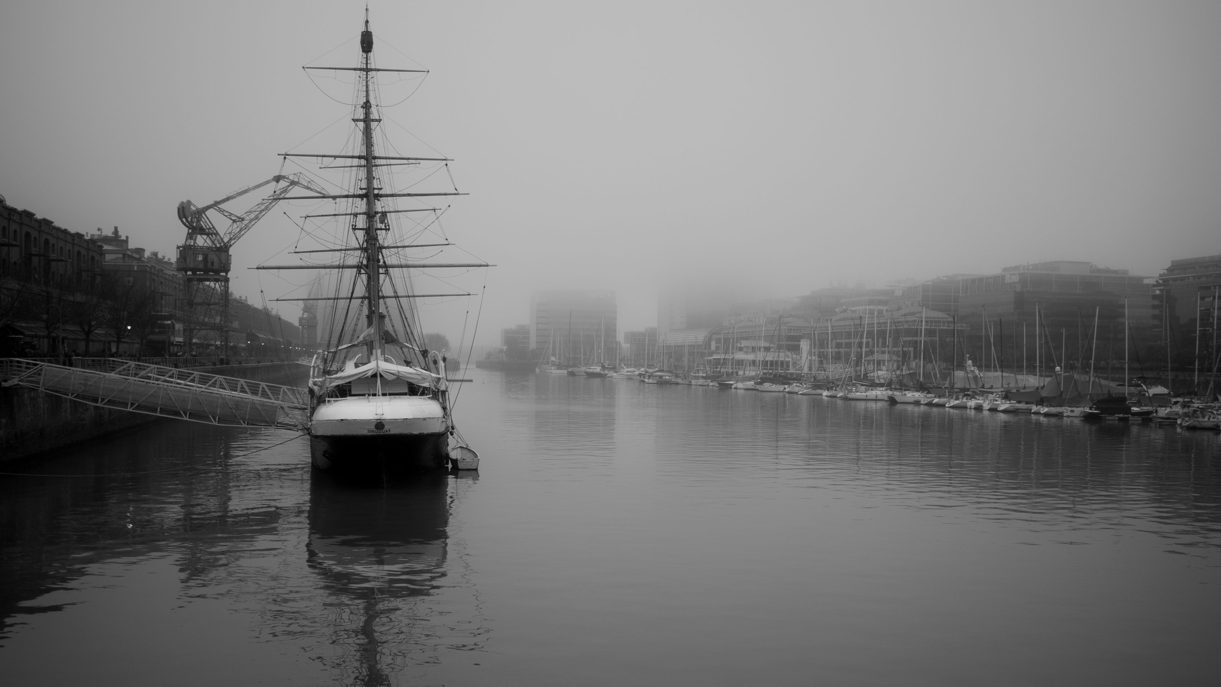 Harbor in Fog · Free Stock Photo