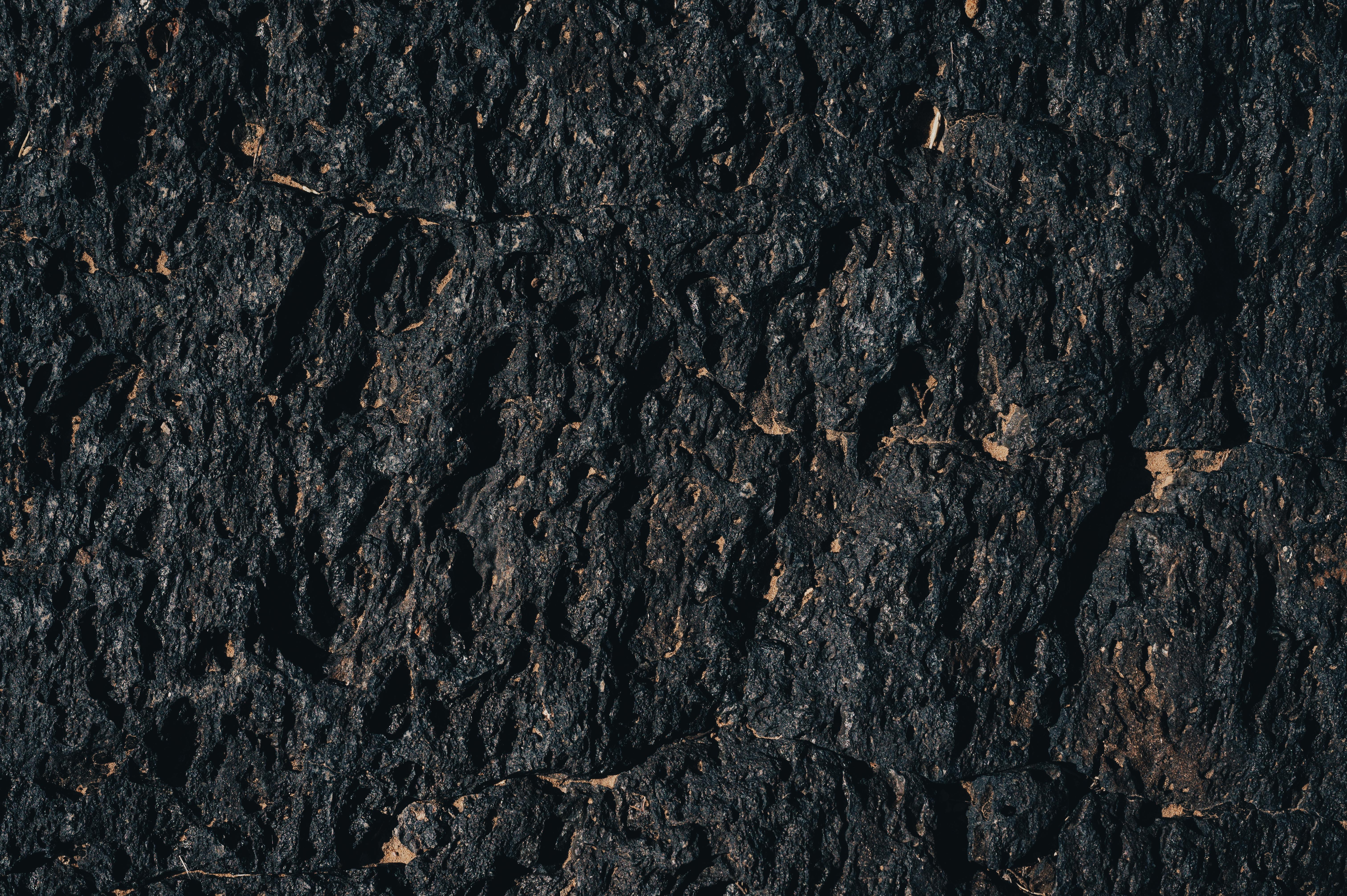 Foto profissional gratuita de @exterior, acidentado, árvore, bioma ...