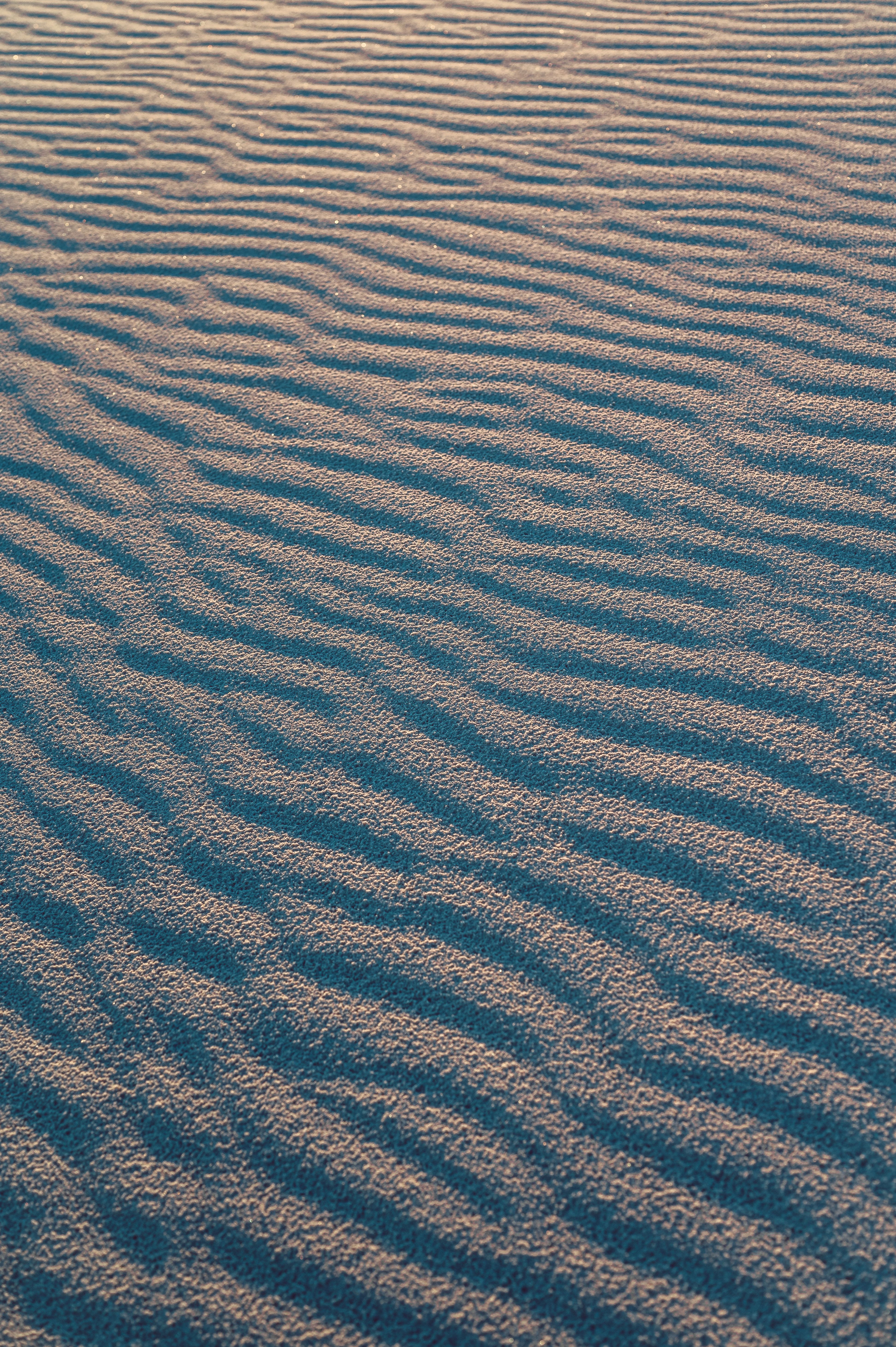 Gray Sand Dunes · Free Stock Photo