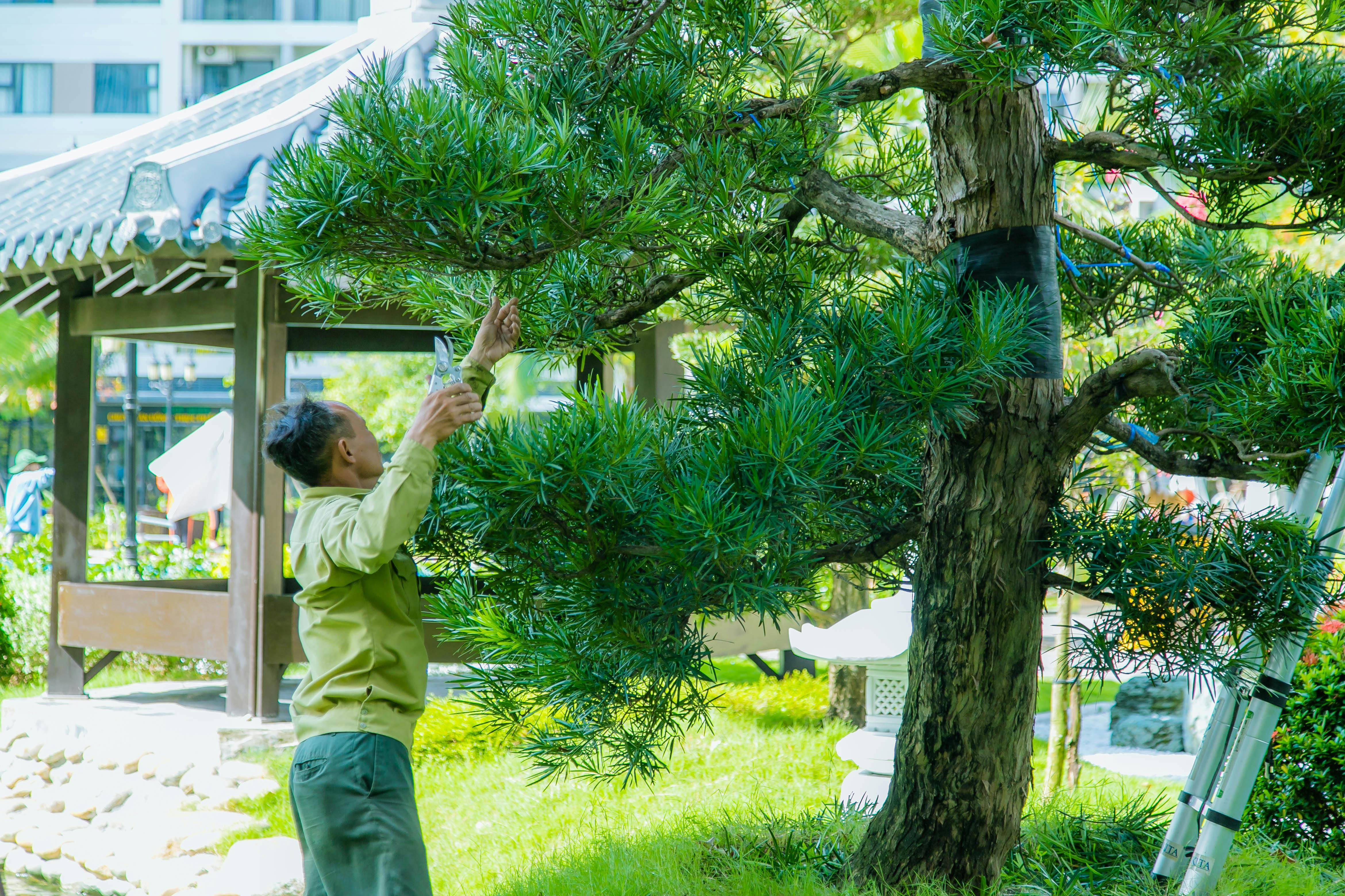 Thanh Long Bùi - Fotografía