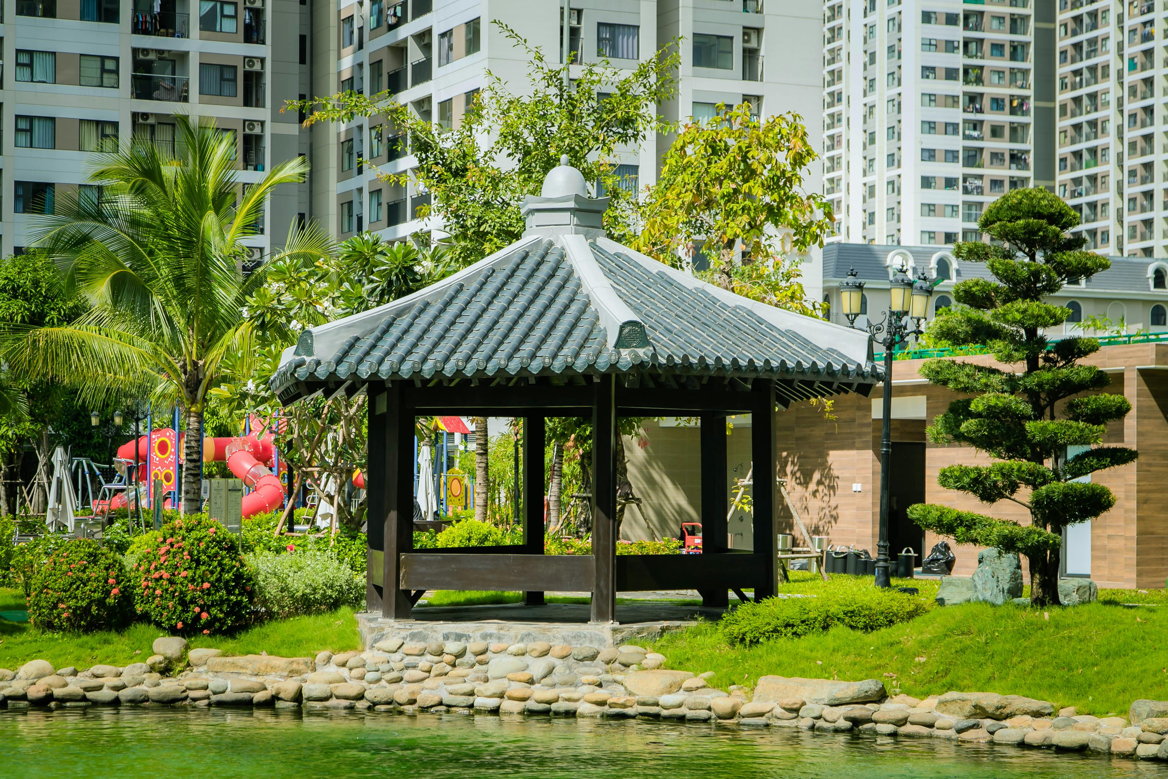 Thanh Long Bùi - 사진