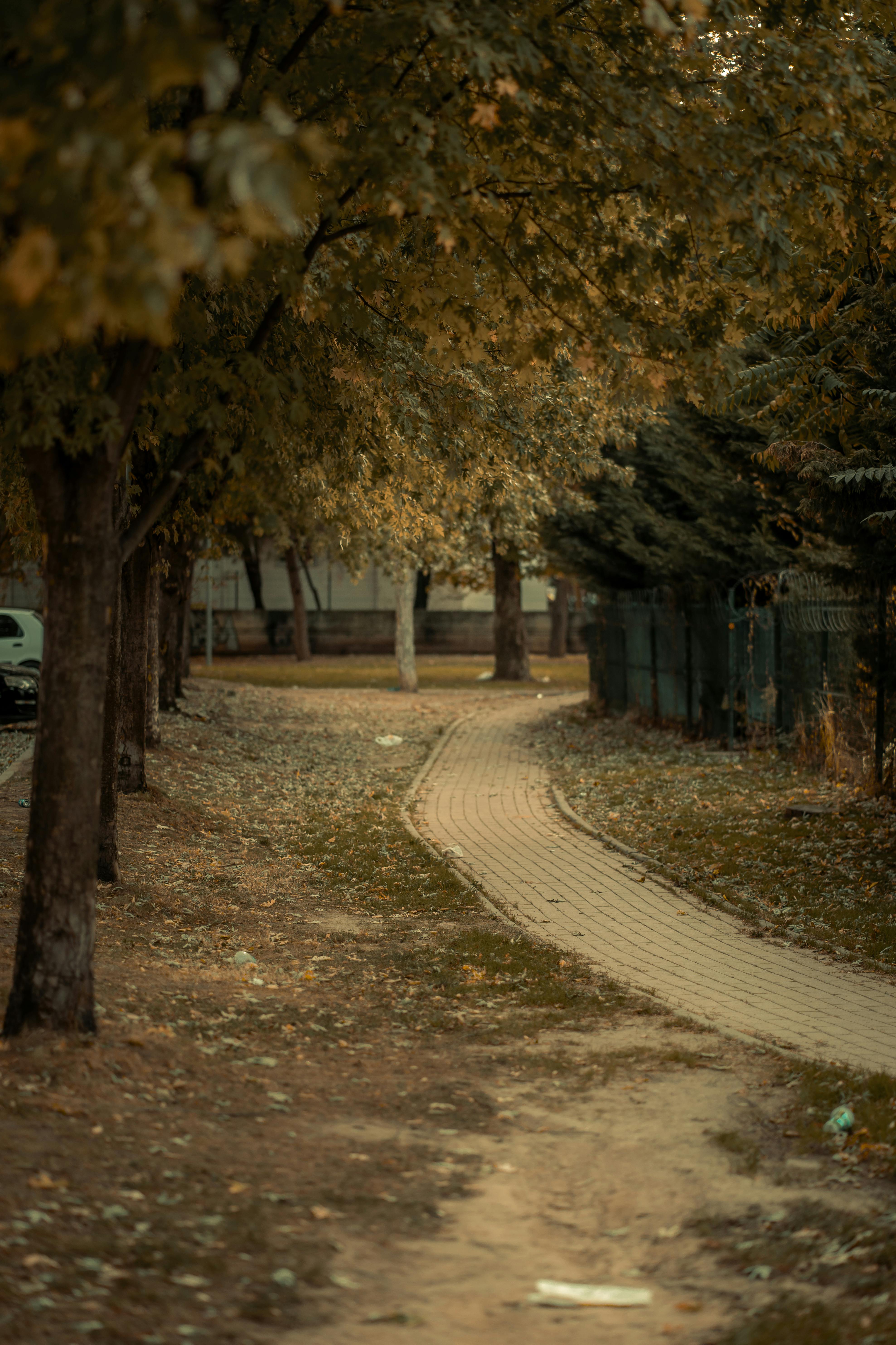 Footpath and Sidewalk in Park · Free Stock Photo