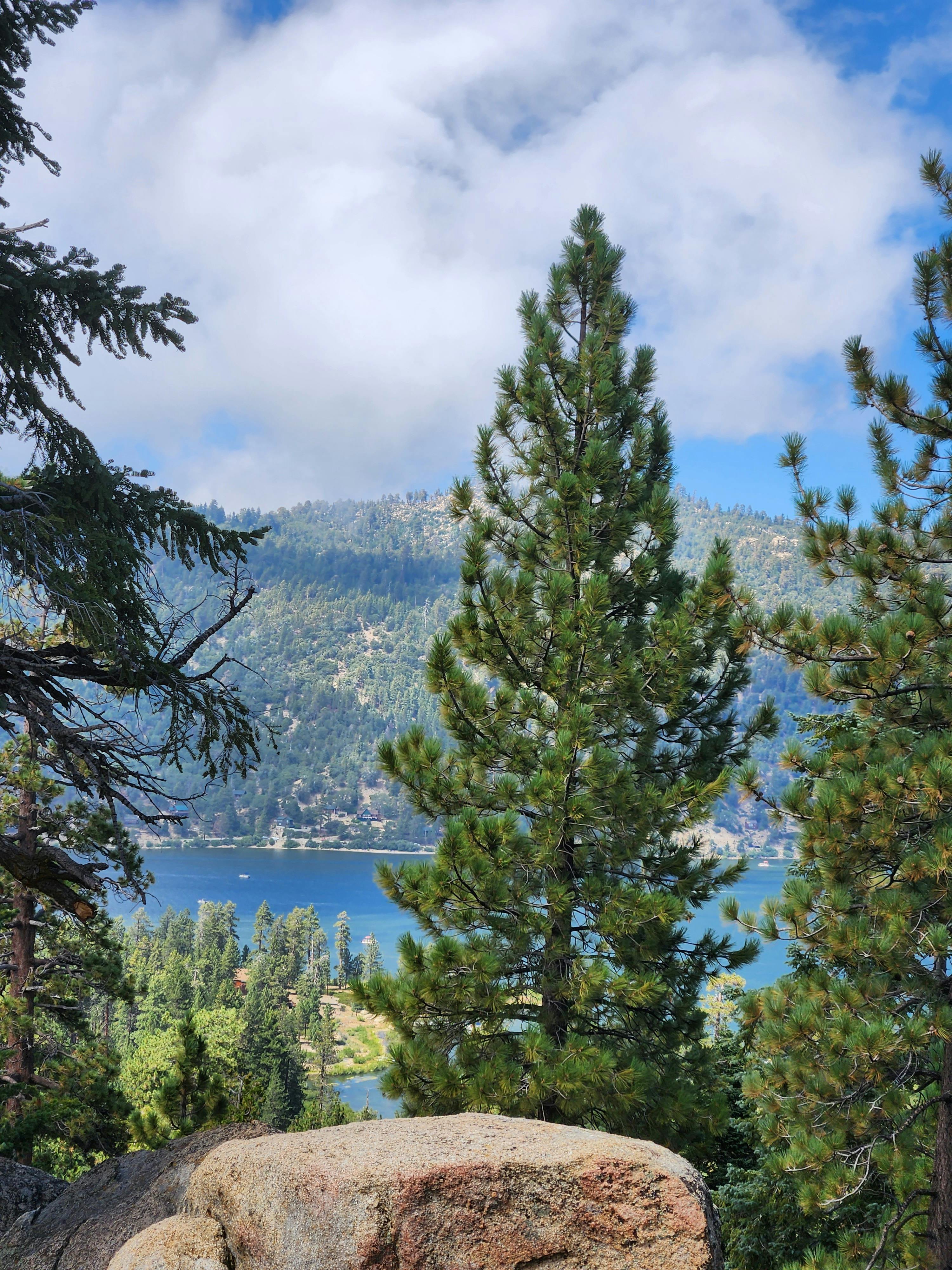 Netural Beauty Photos, Download The BEST Free Netural Beauty Stock ...