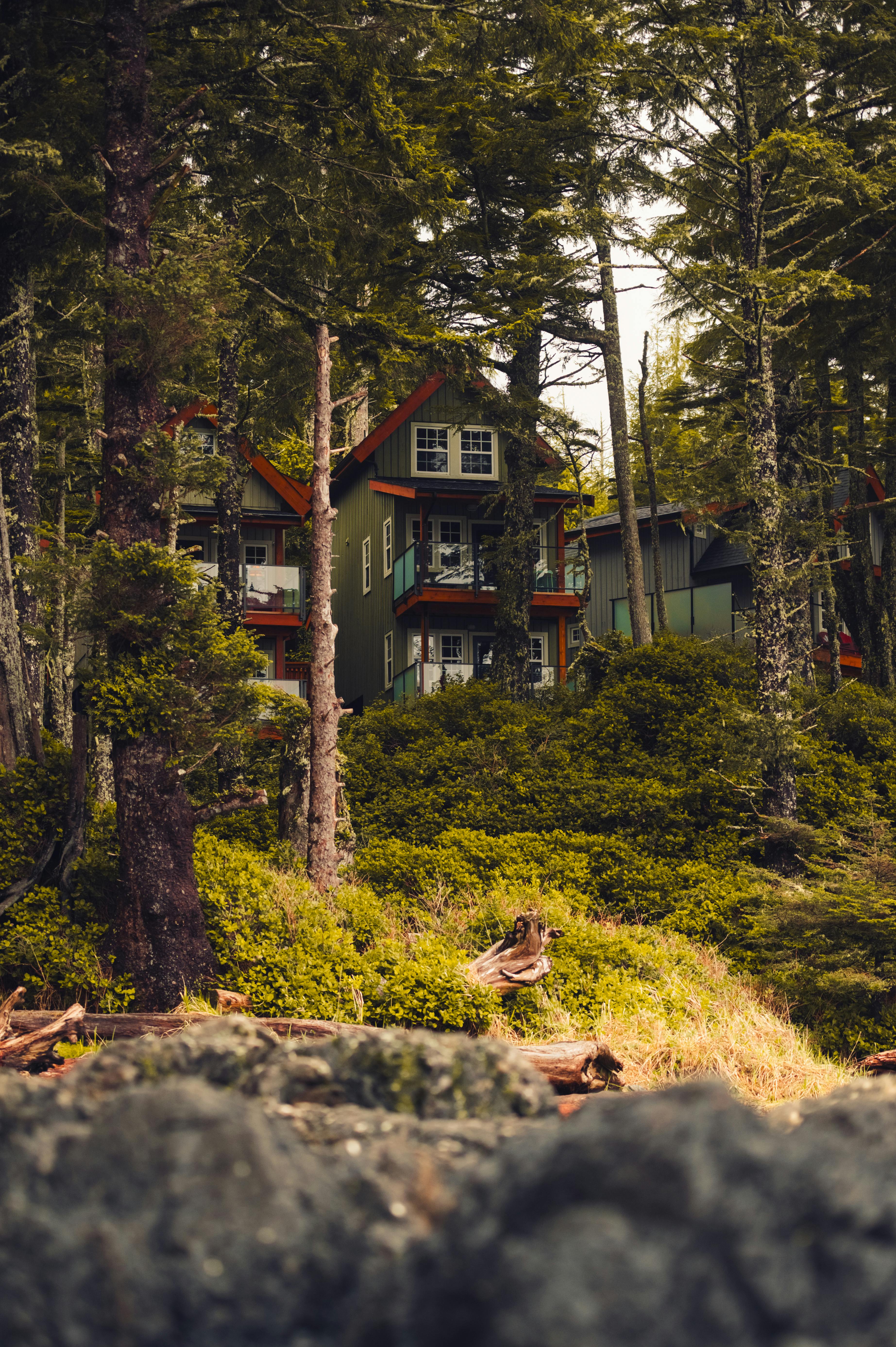 Houses behind Forest Trees · Free Stock Photo