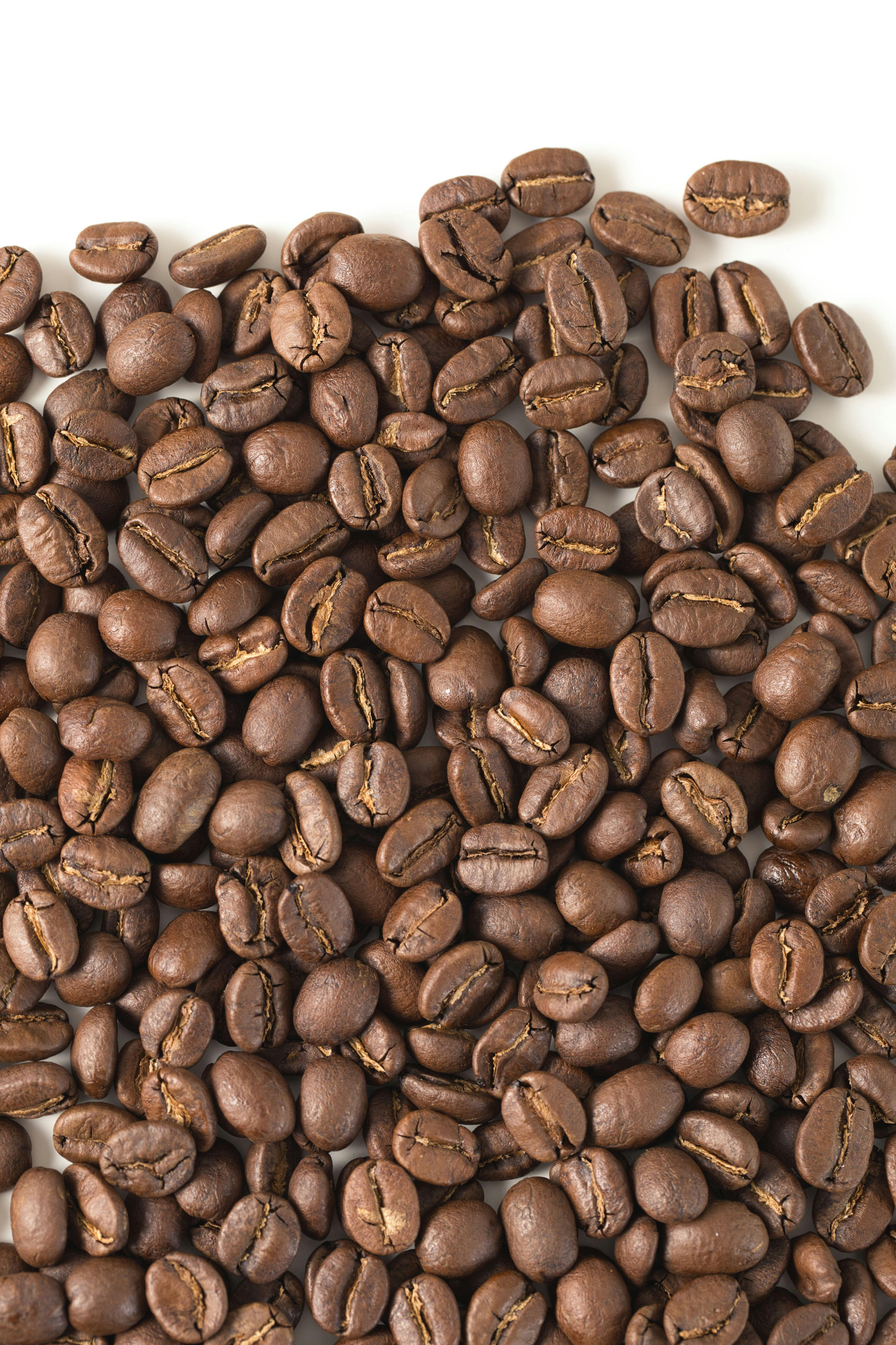 Coffee Beans Closeup Photography · Free Stock Photo
