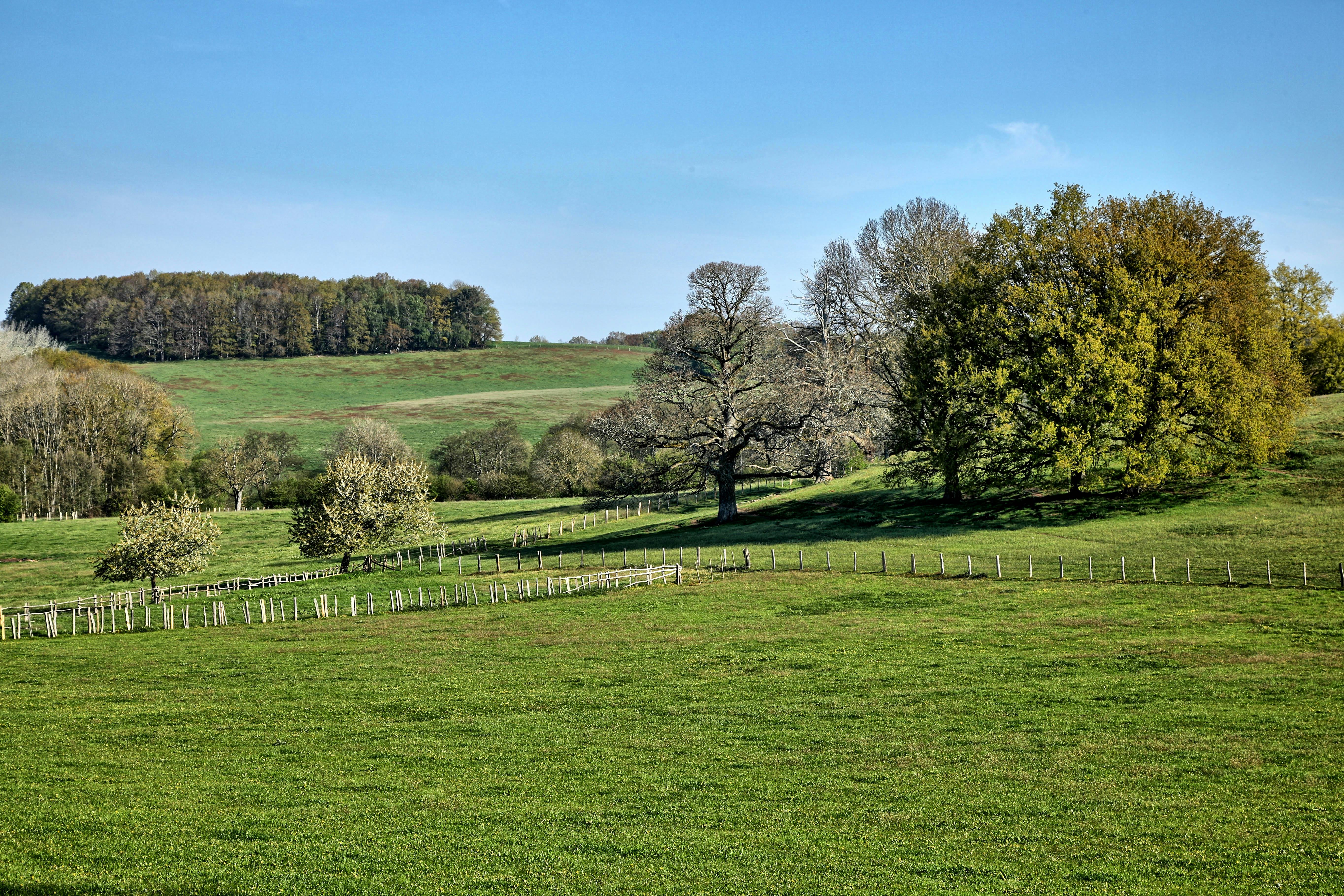 Grassy Pasture on Farm · Free Stock Photo