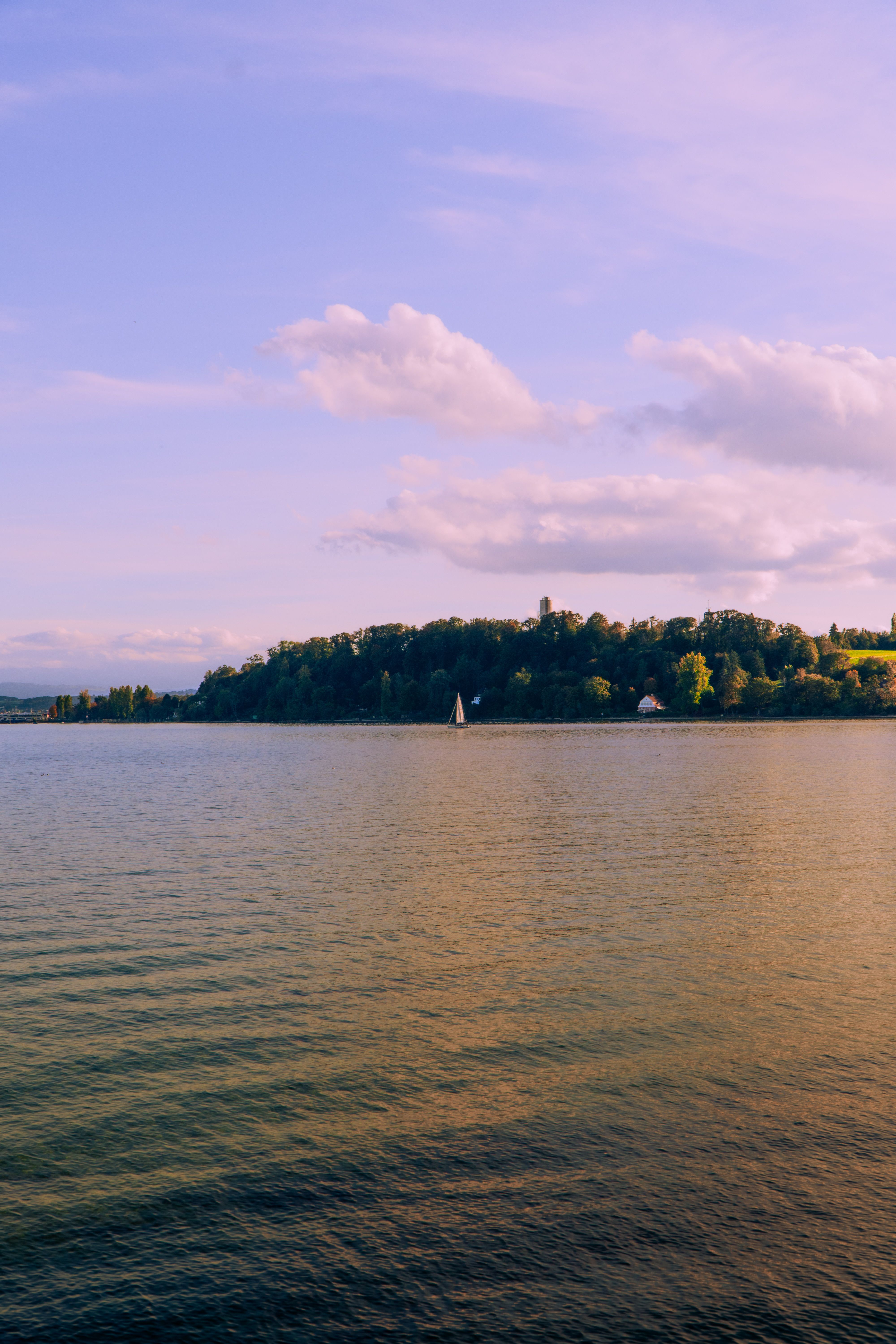 Lake in Countryside · Free Stock Photo