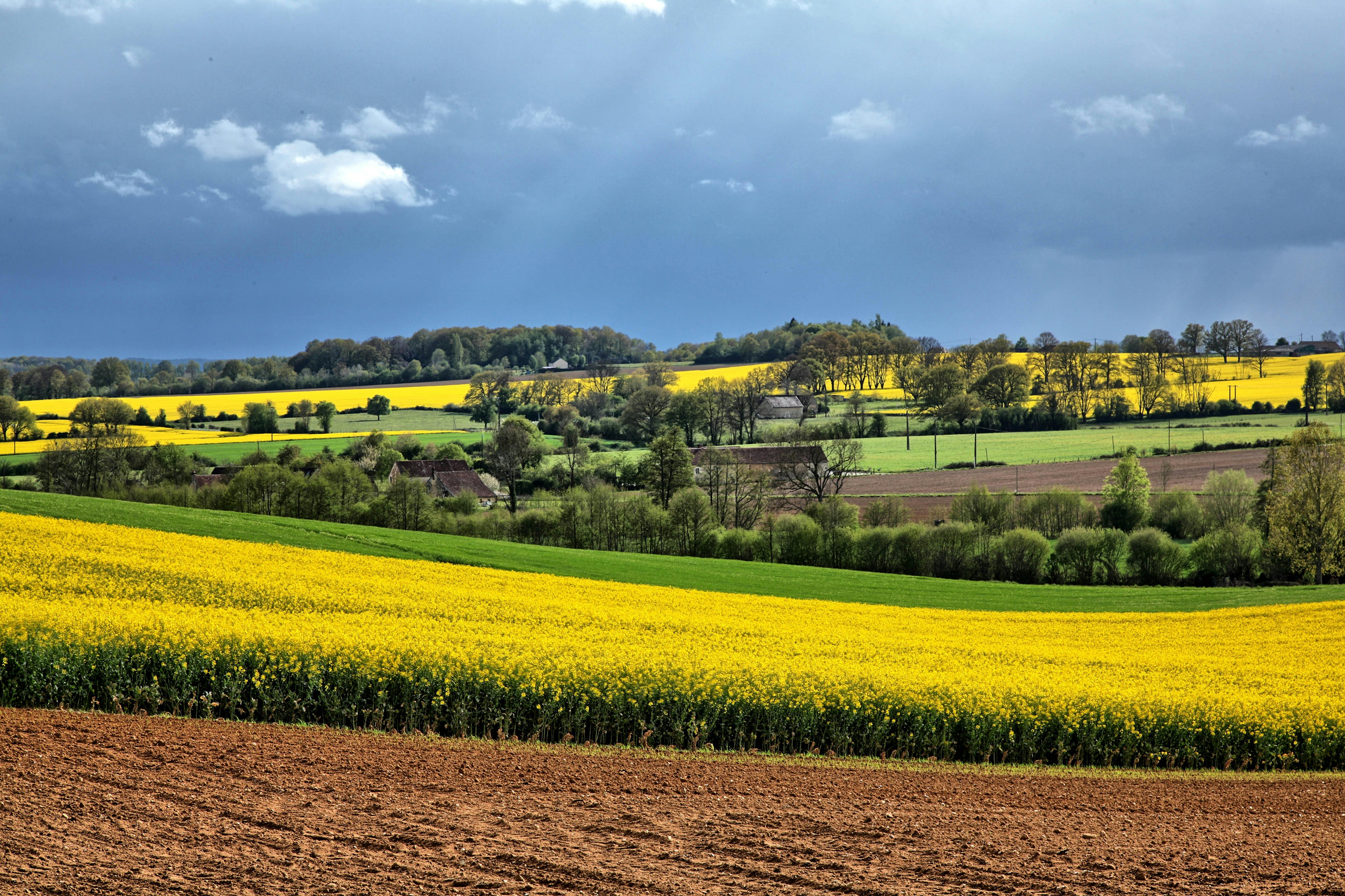 Fields in Countryside in Normandy, France · Free Stock Photo