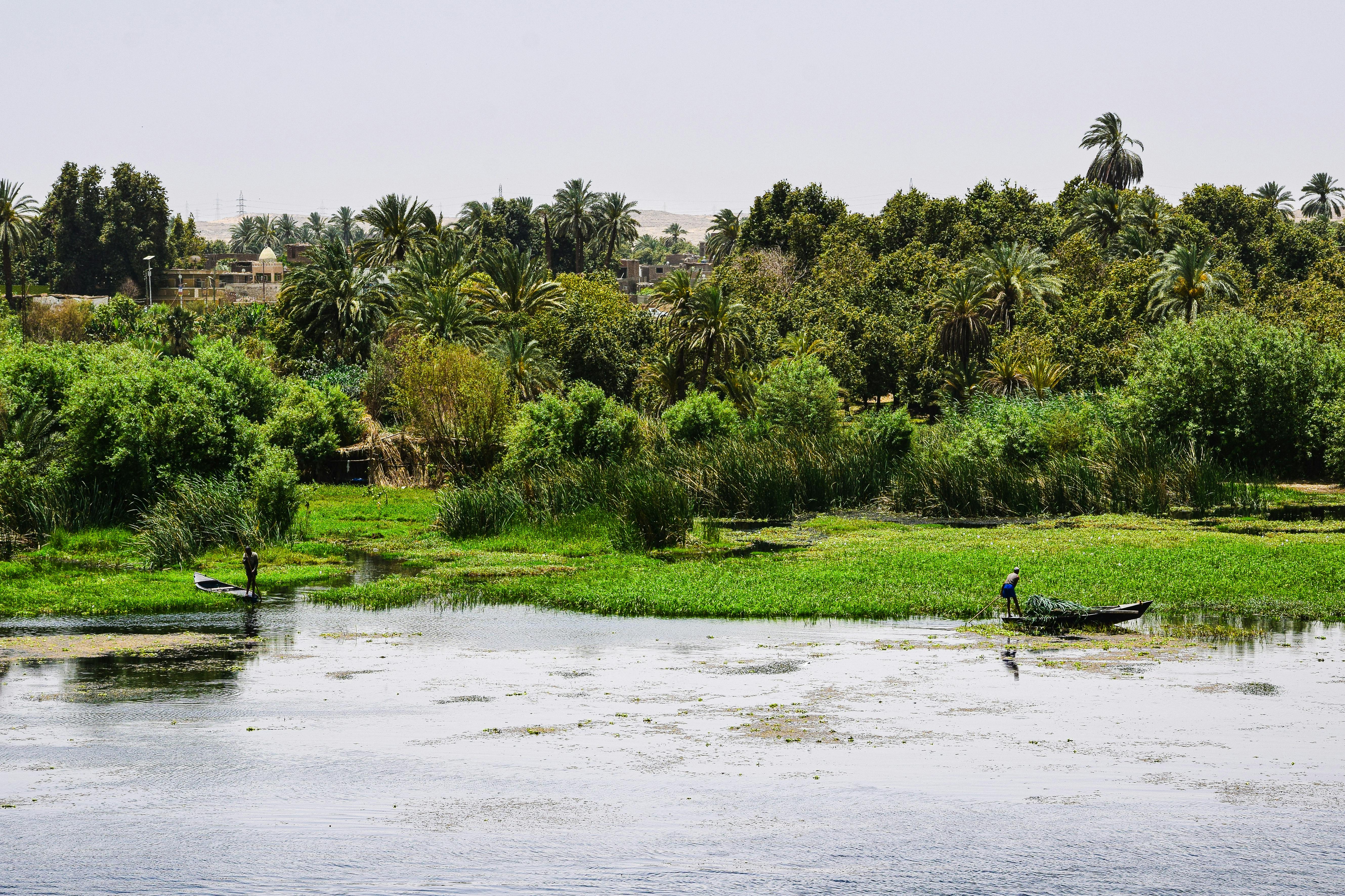 Foto de stock gratuita sobre áfrica, agua, al aire libre, amantes de la ...
