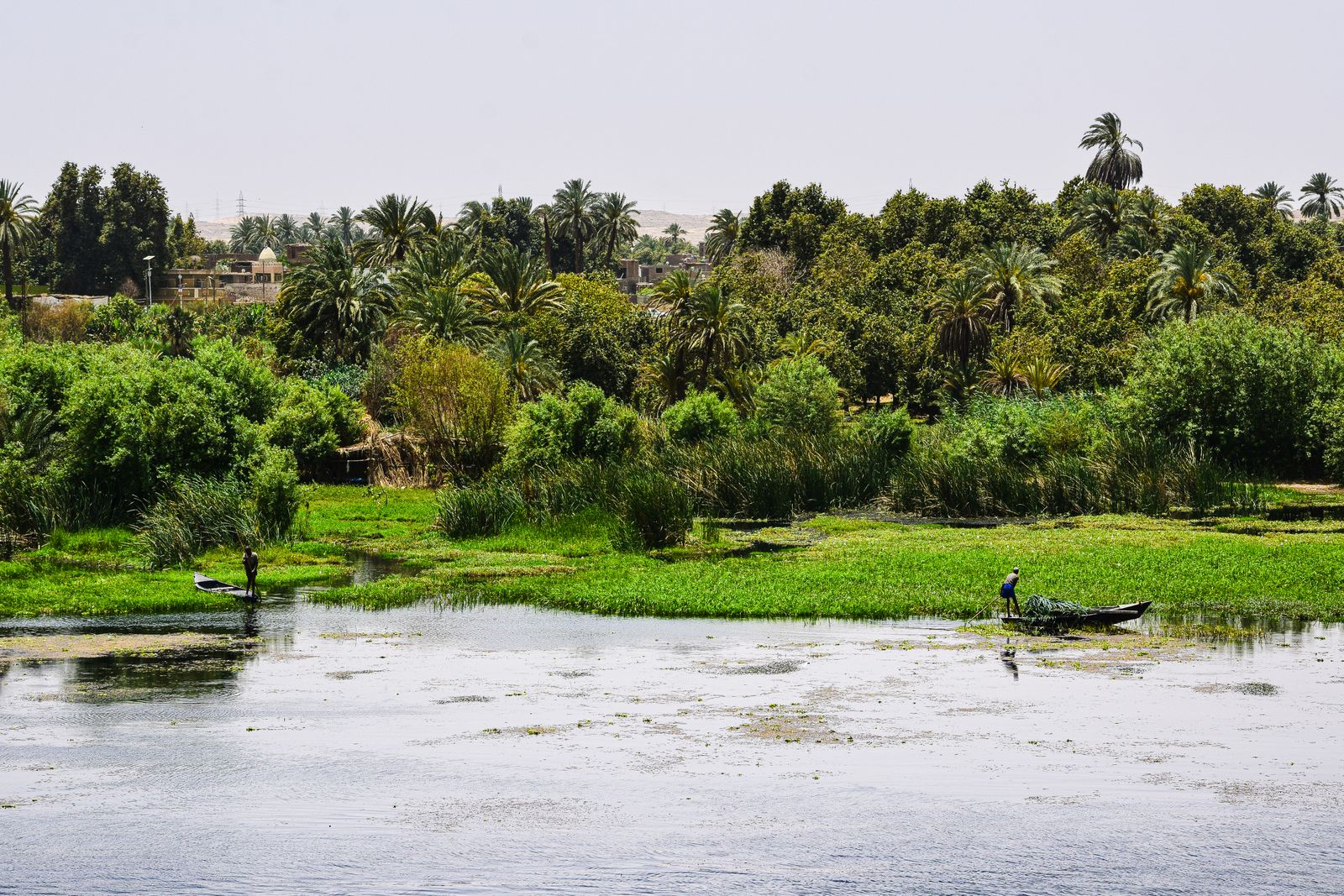 Nile Photos, Download The BEST Free Nile Stock Photos & HD Images