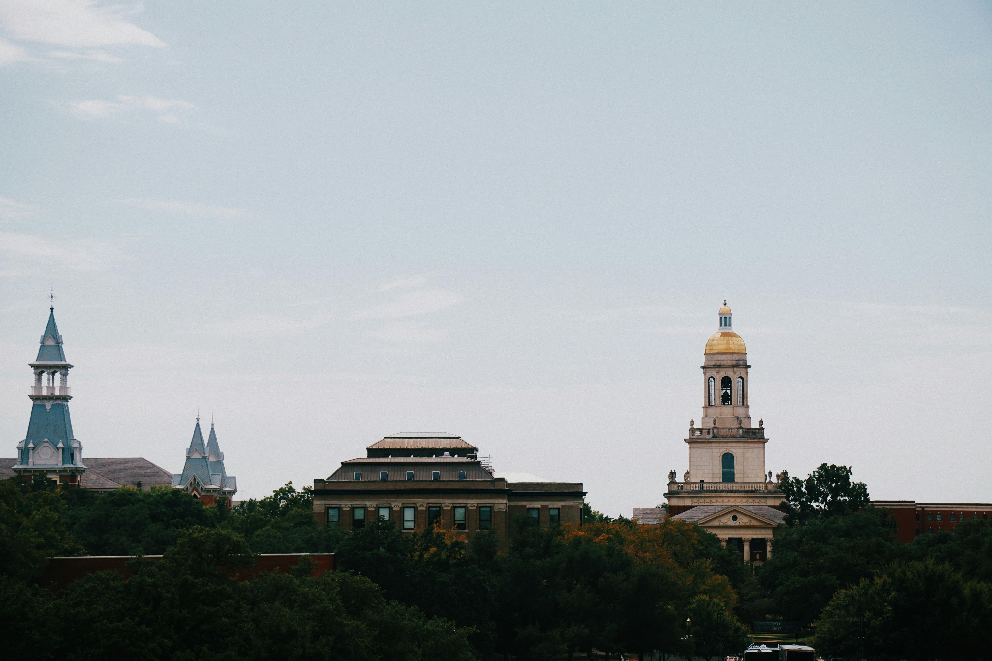 Churches With Trees Inside Photos, Download The BEST Free Churches With ...
