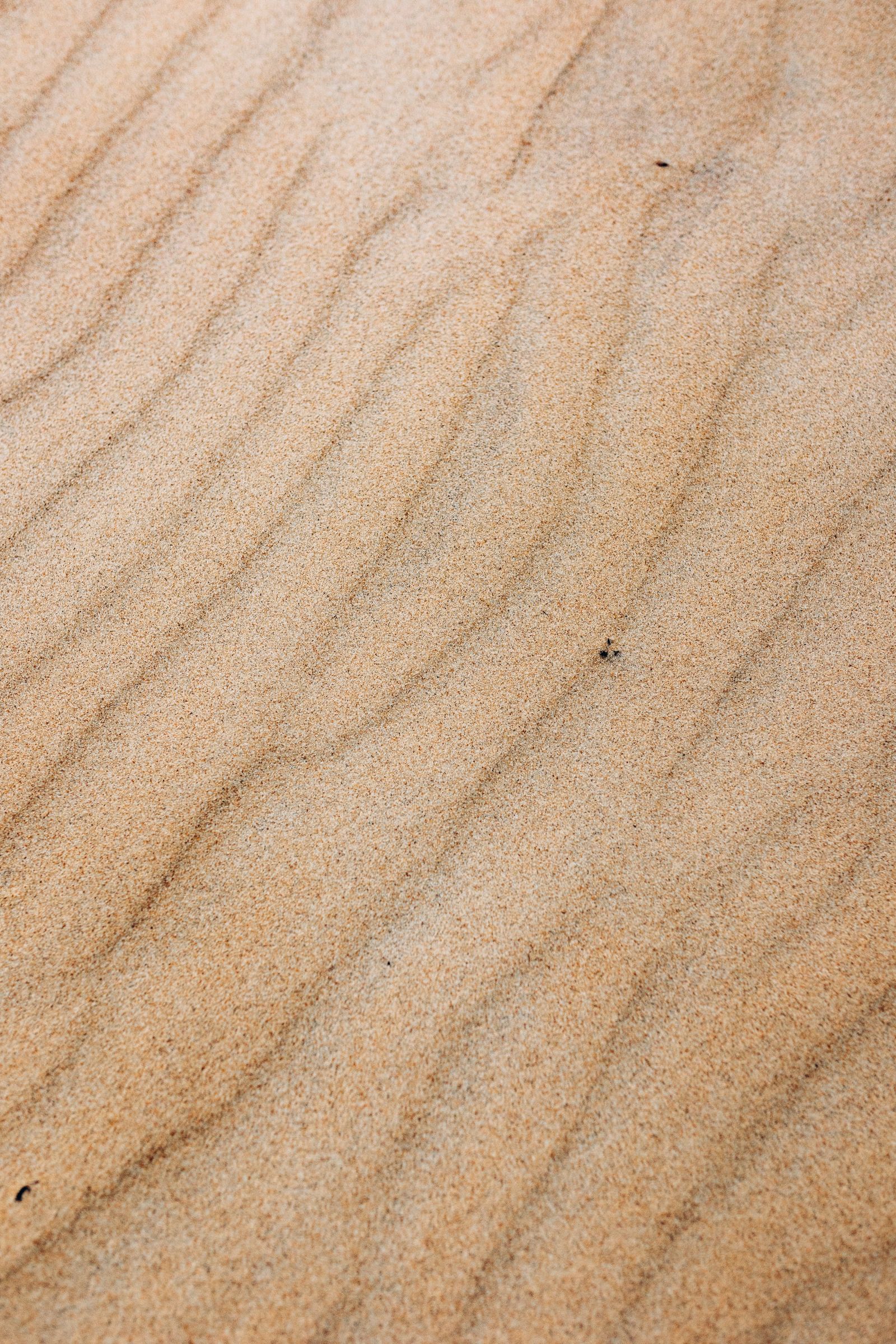 Desert Texture Photos, Download The BEST Free Desert Texture Stock ...