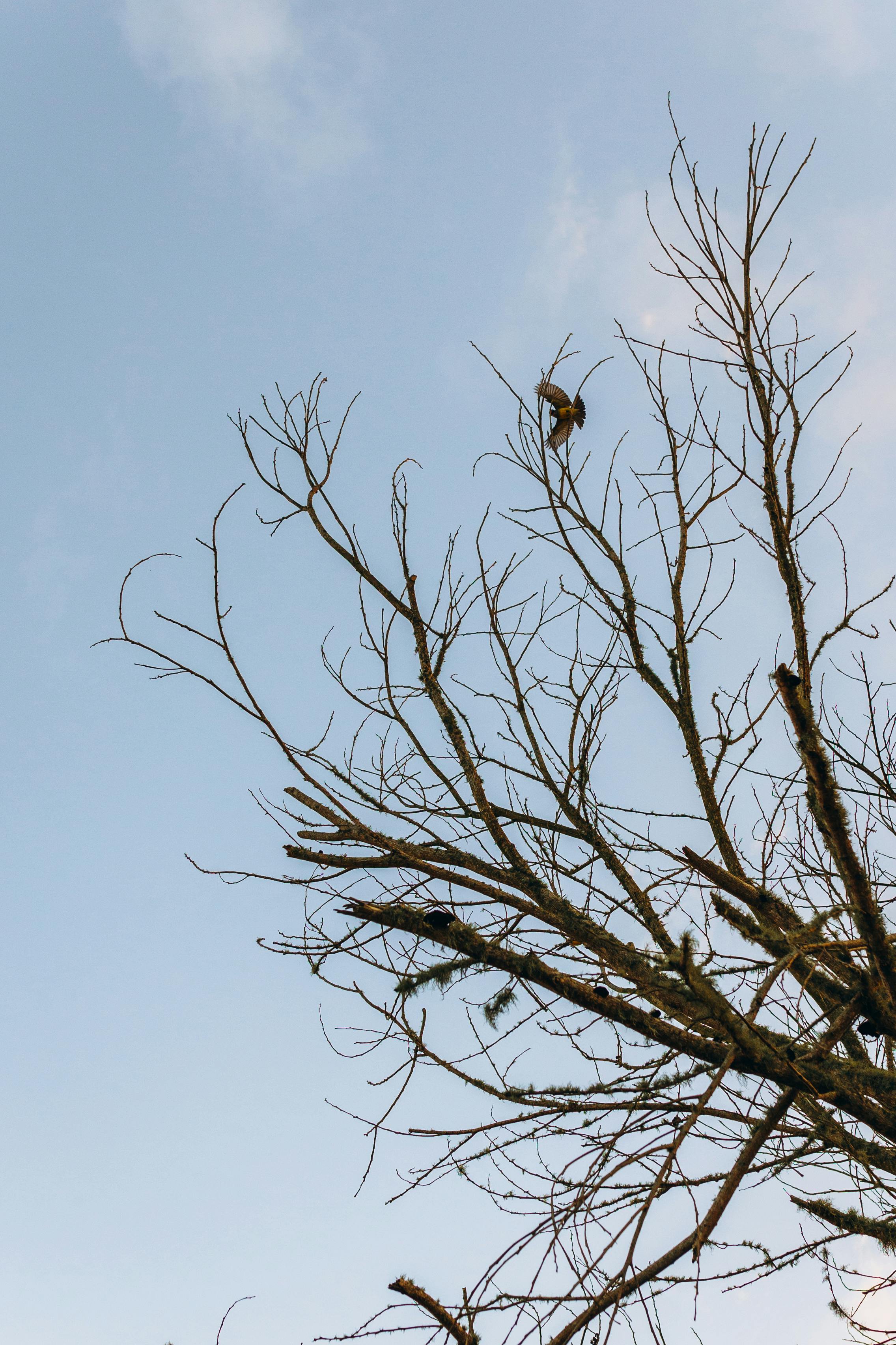 Free Light Background Photos, Download The BEST Free Free Light ...