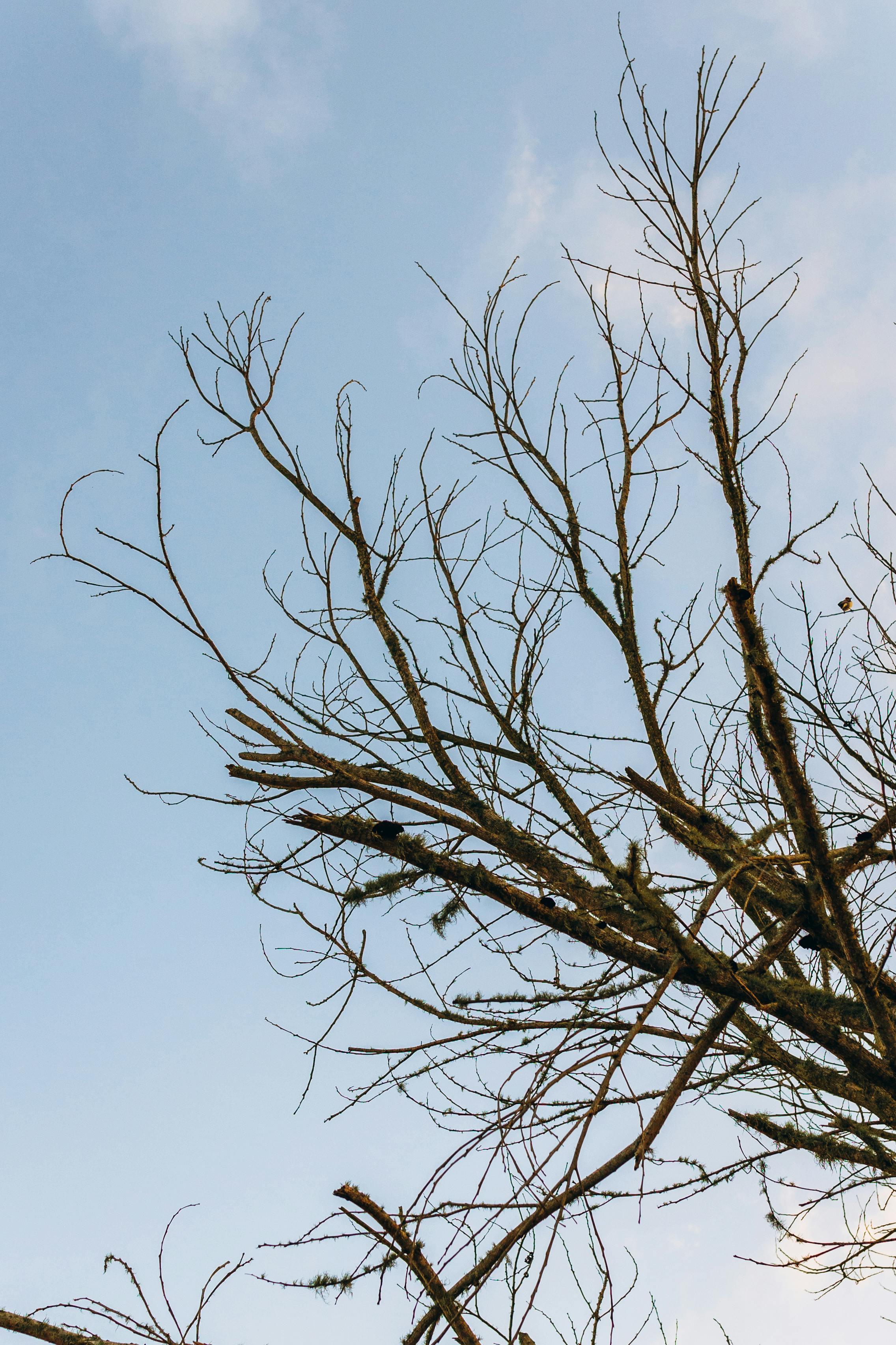 Sky Upbackground Photos, Download The BEST Free Sky Upbackground Stock ...