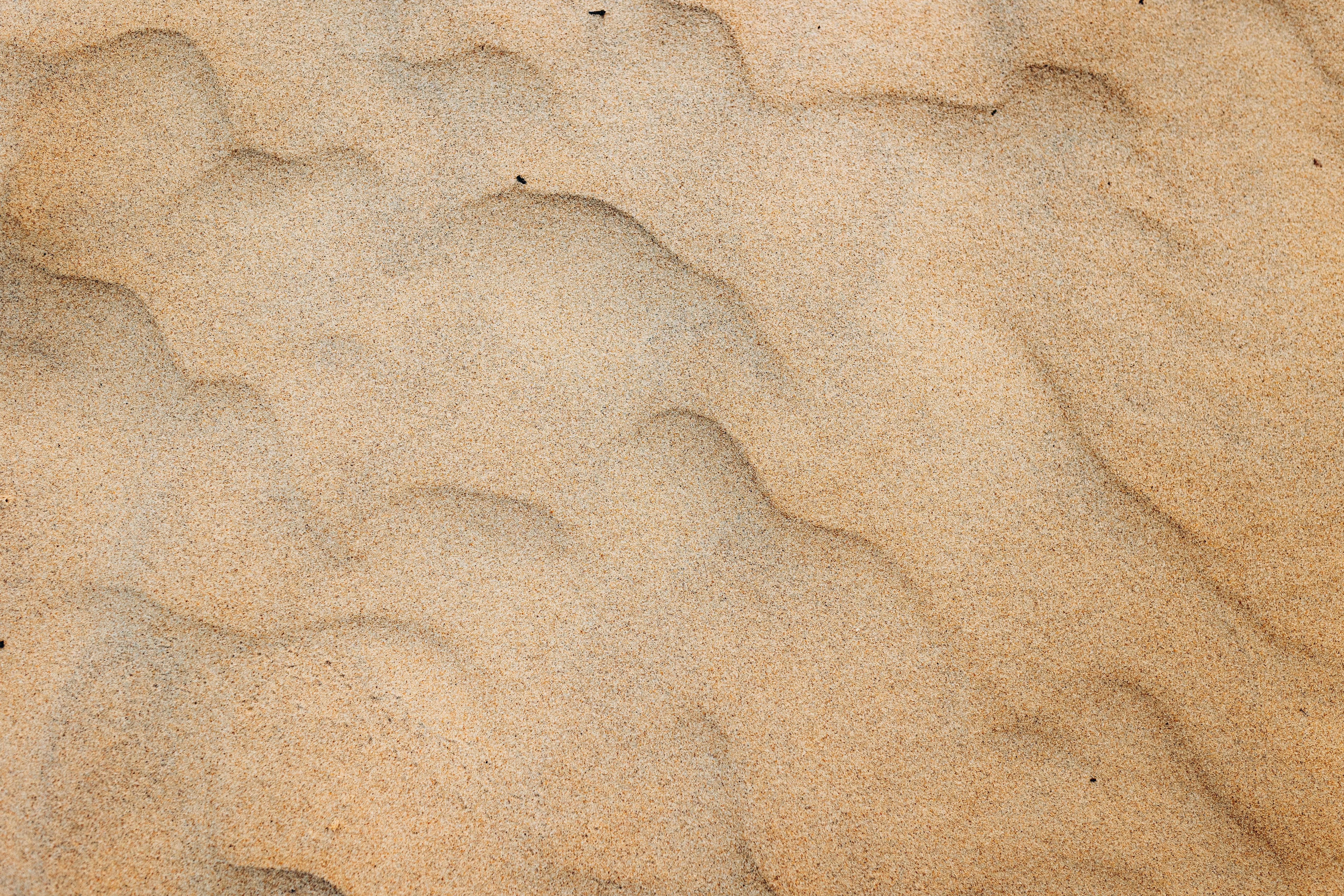 Wrinkles on Dry Sand · Free Stock Photo