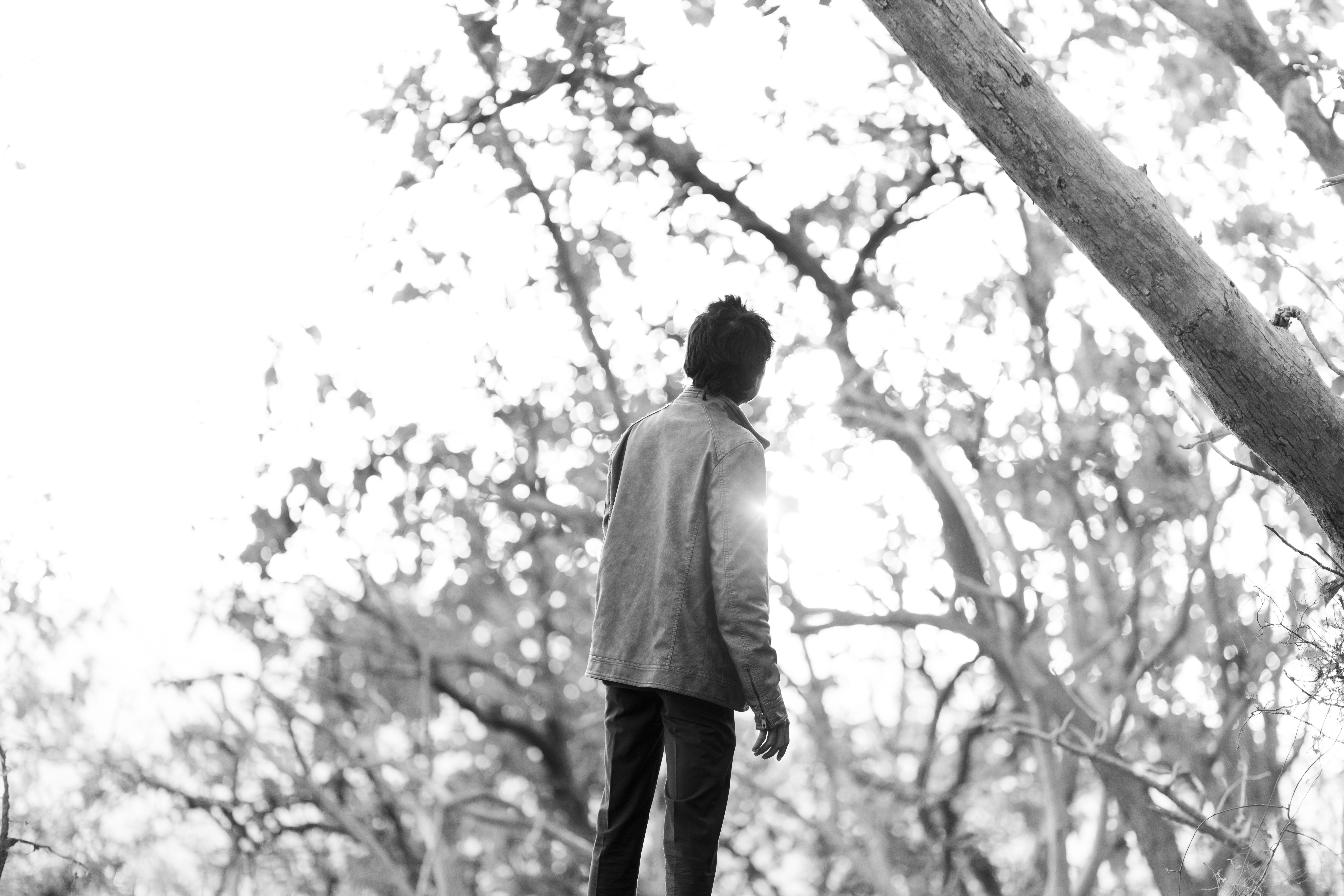 Man Falling Backwards Photos, Download The BEST Free Man Falling ...