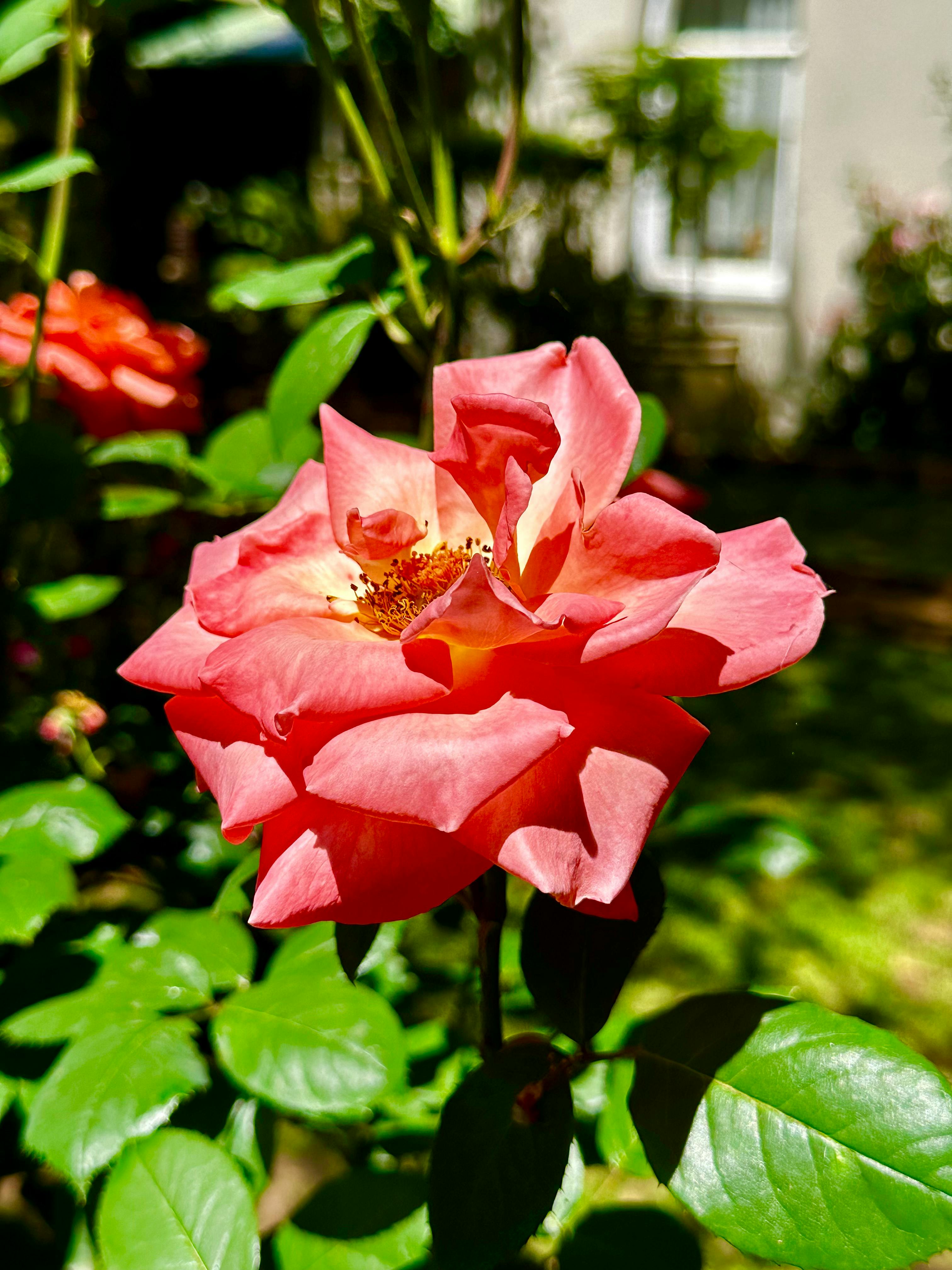 Craig Meyer - Photographie