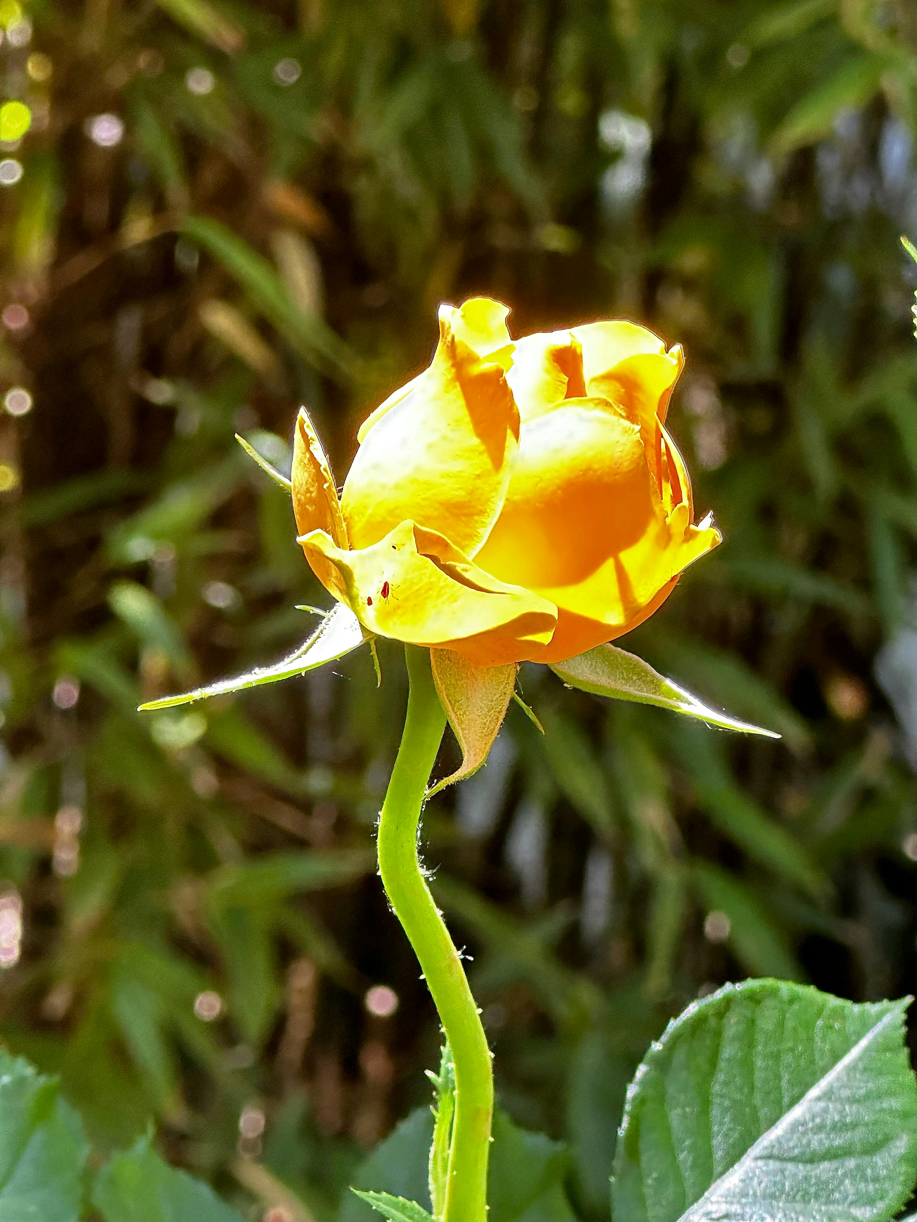 Craig Meyer - Photographie