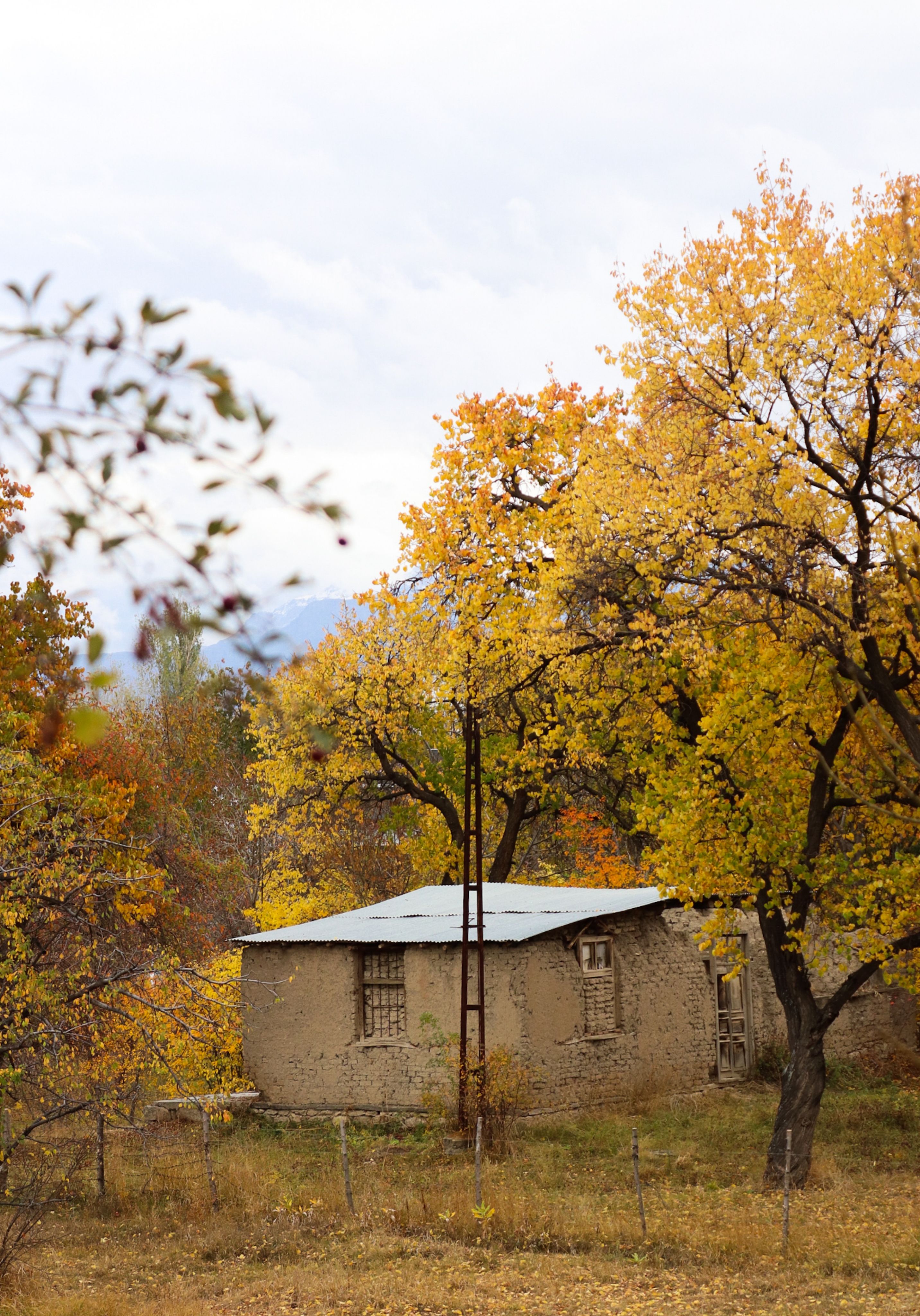 Autumn Trees around Building in Village · Free Stock Photo