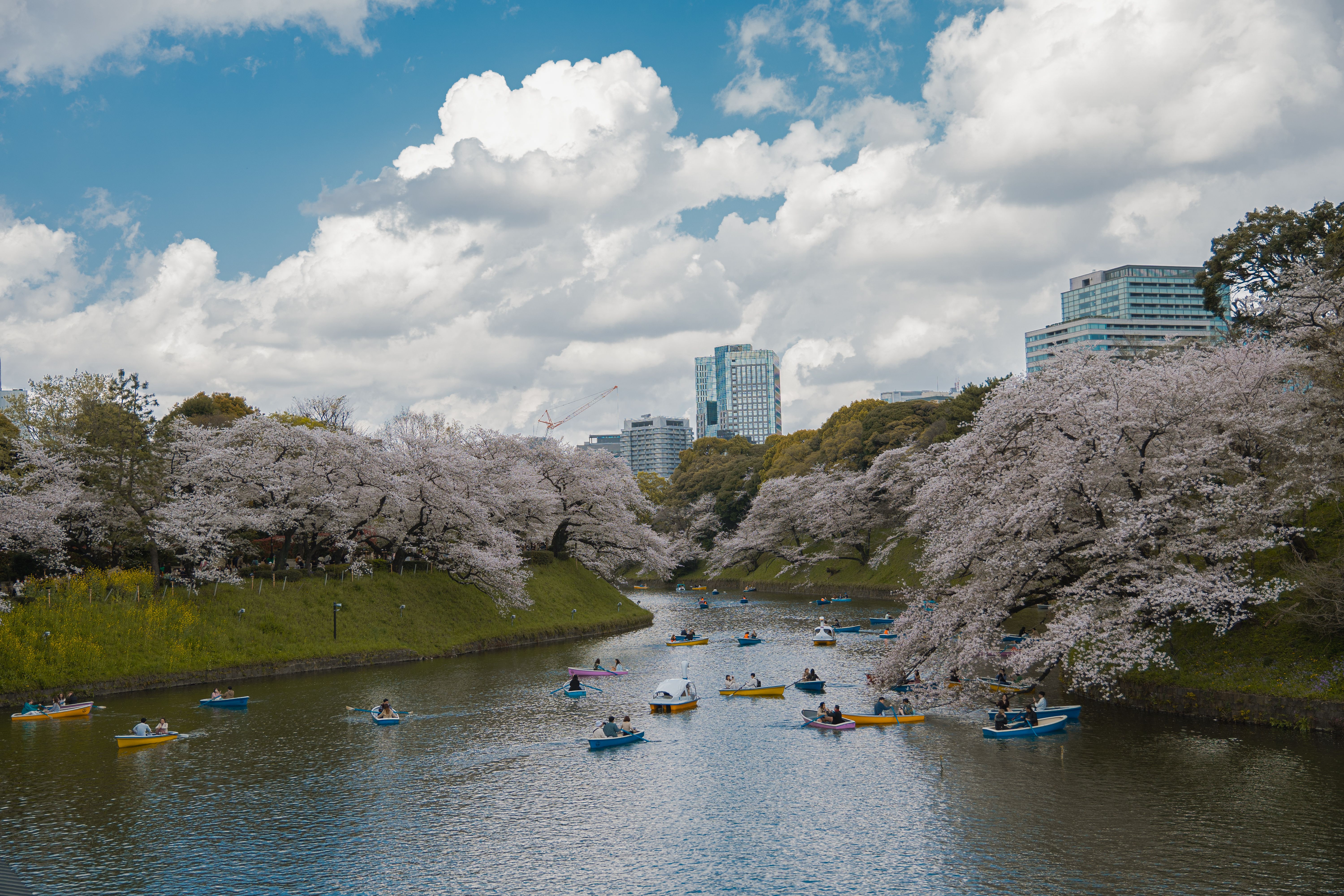 People Canoeing by the Chidorigafuchi Waterways in Tokyo, Japan · Free ...
