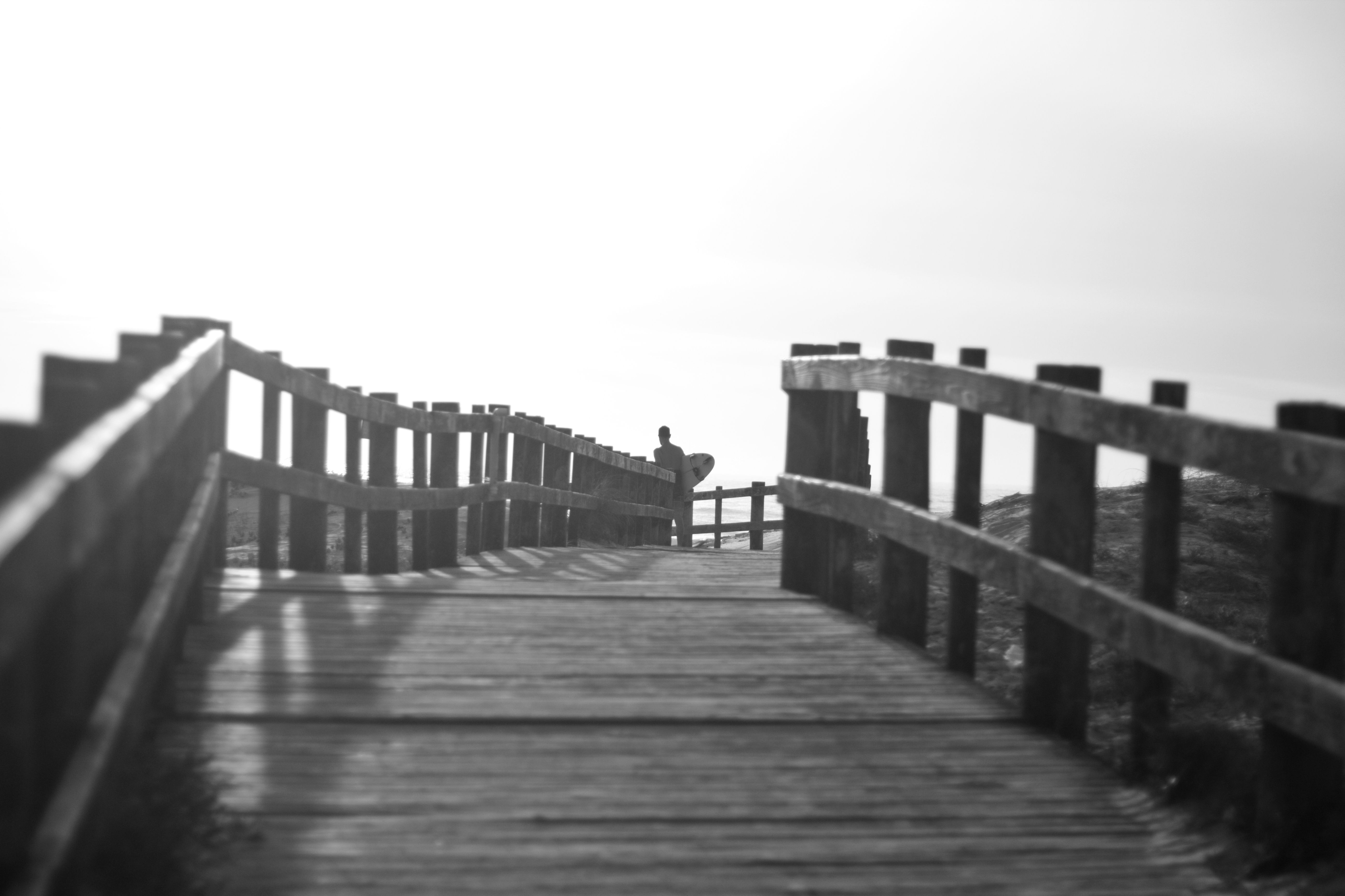 Wooden Path by the Beach in Black and White · Free Stock Photo