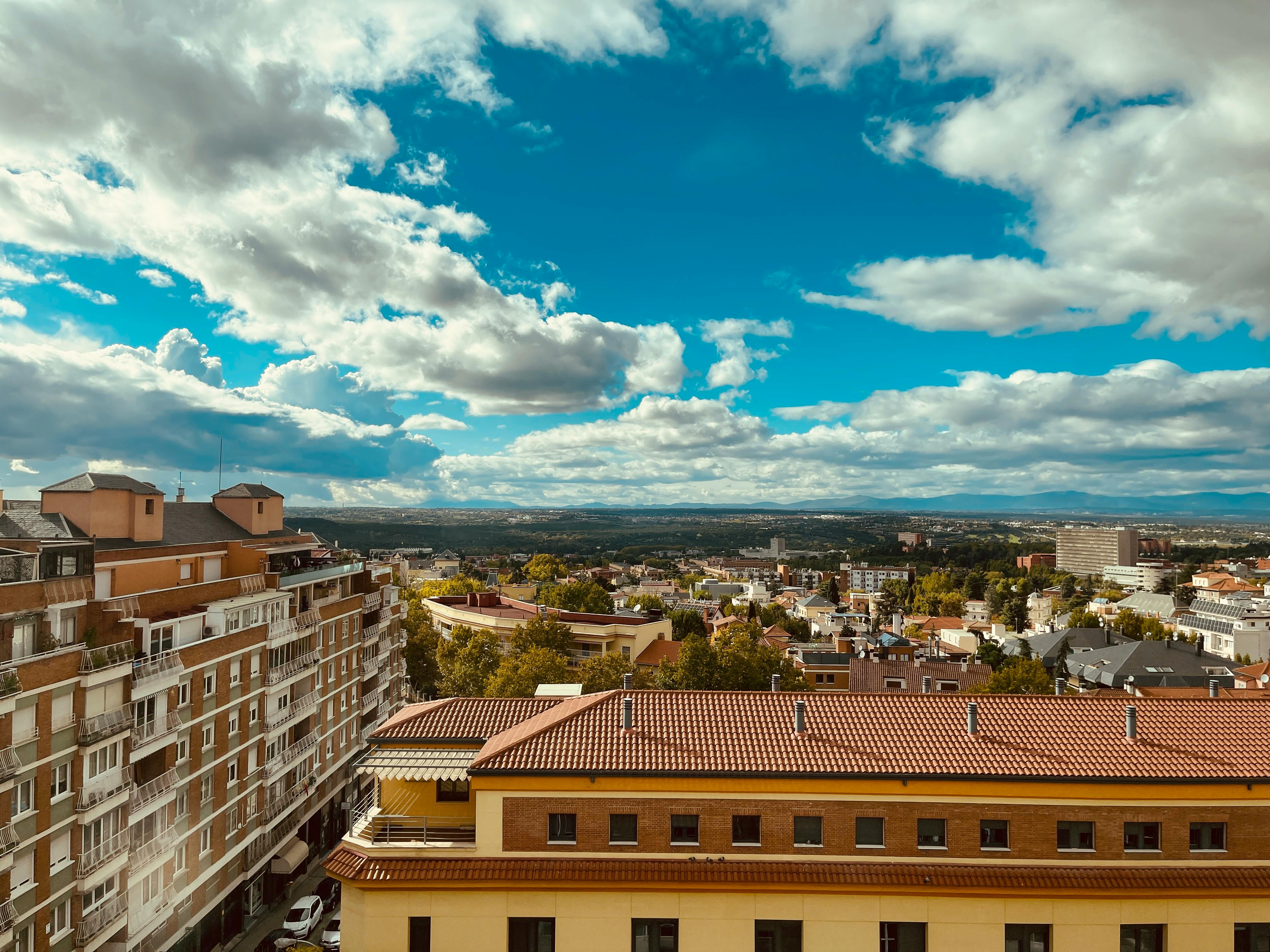 Luis Ribeiro - 사진