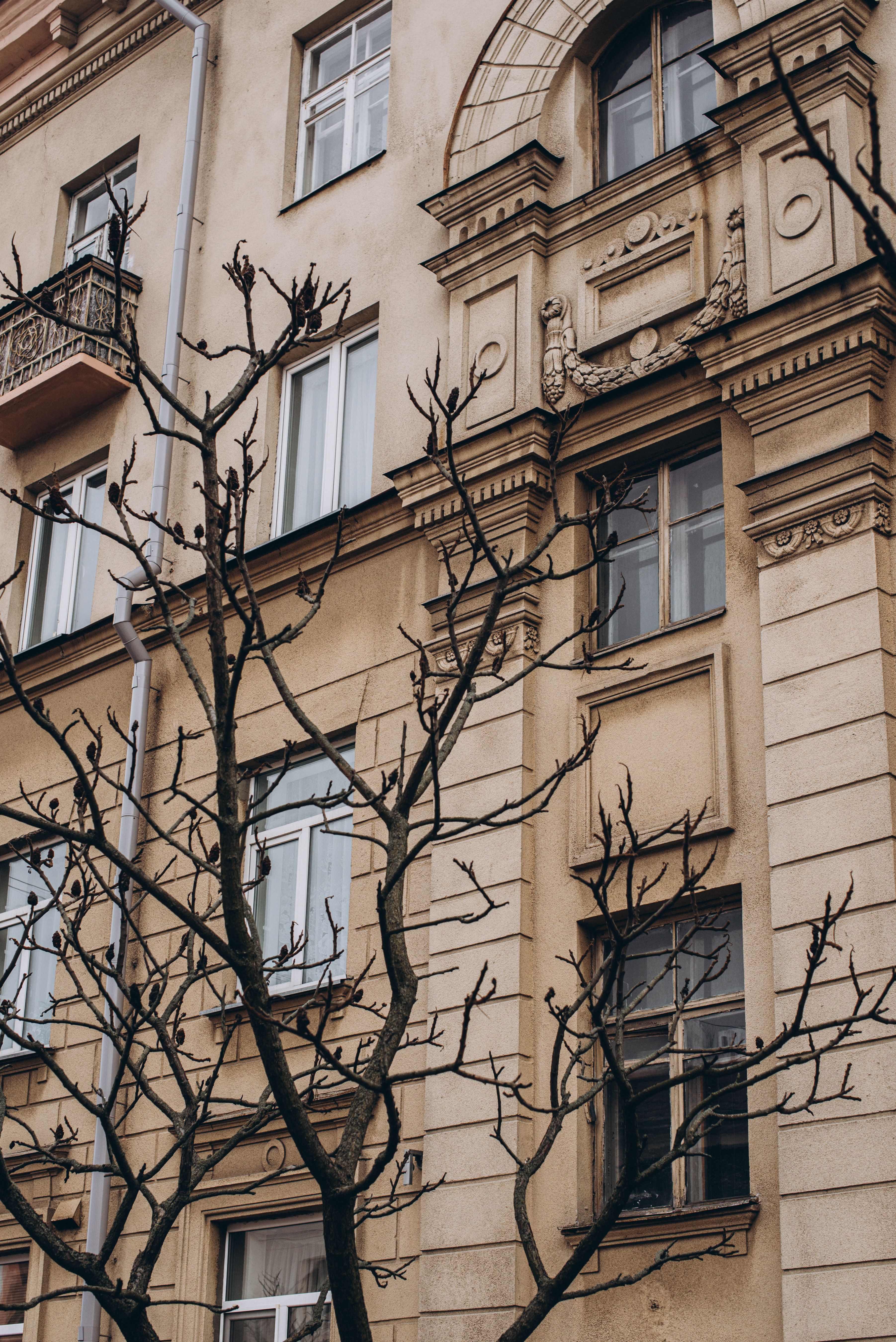 Bare Tree Branches and Building Wall behind · Free Stock Photo