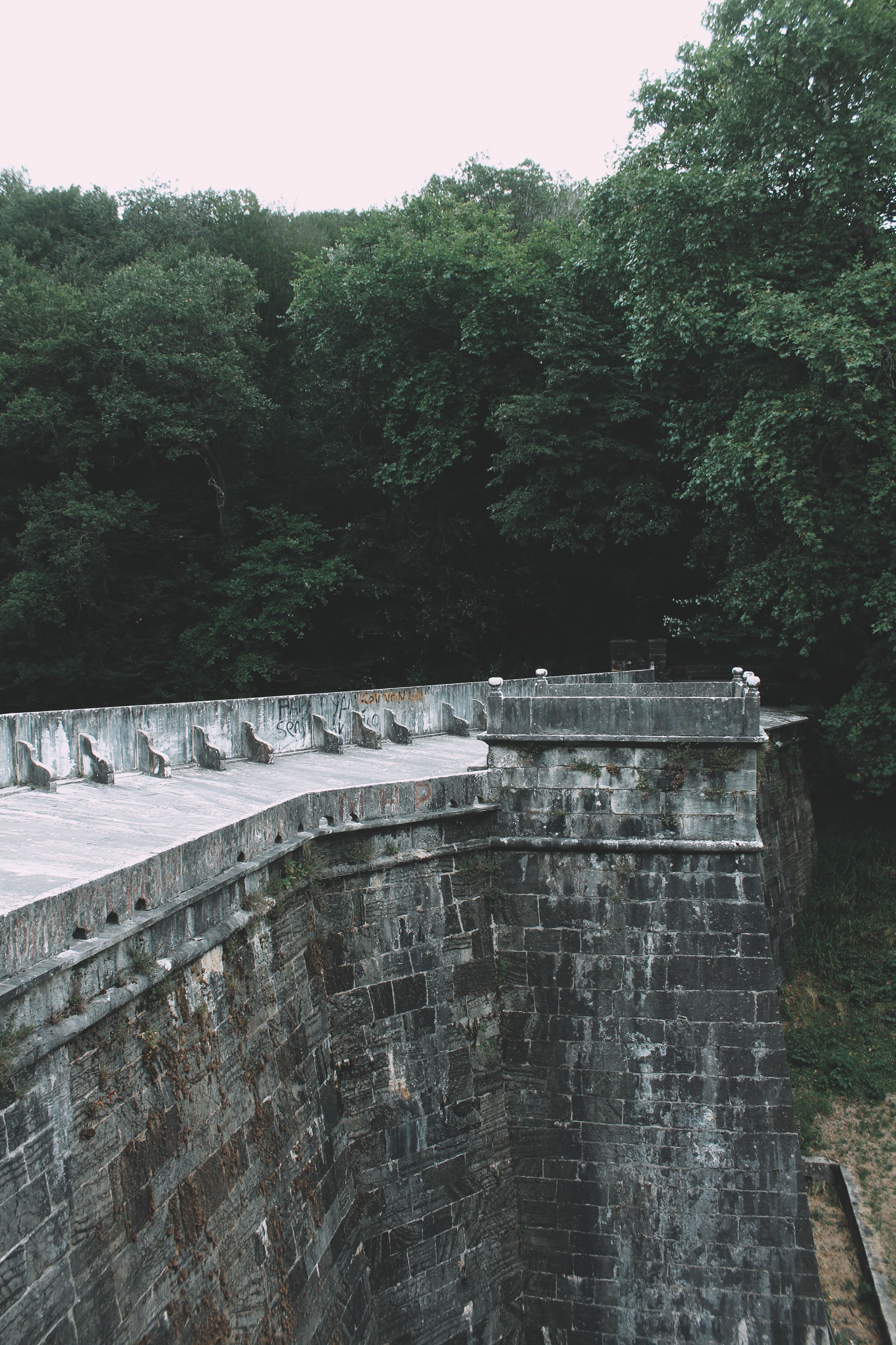 Stone Footbridge in Forest · Free Stock Photo