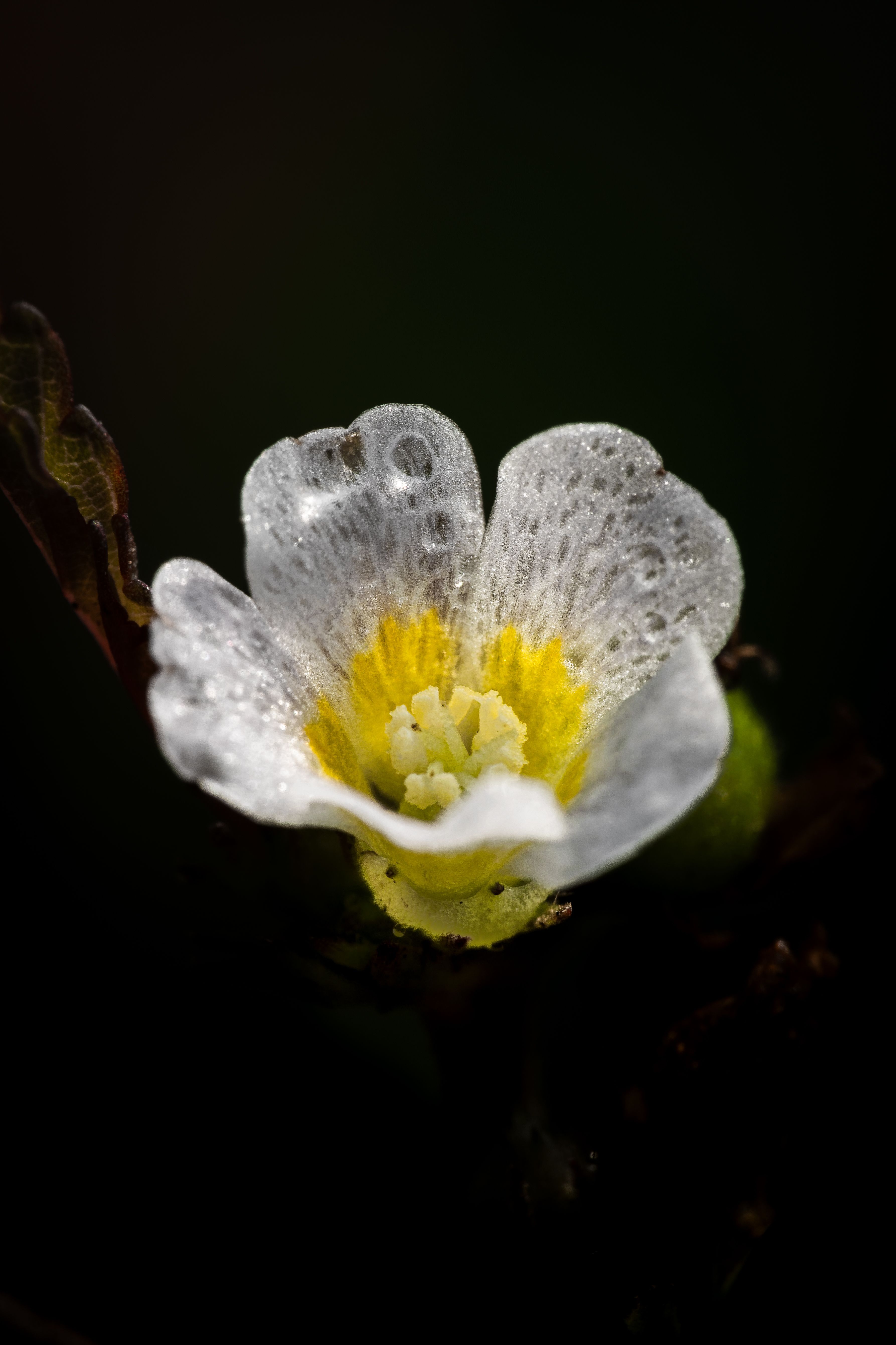 4k Wallpaper Odisha Map Photos, Download The BEST Free 4k Wallpaper ...