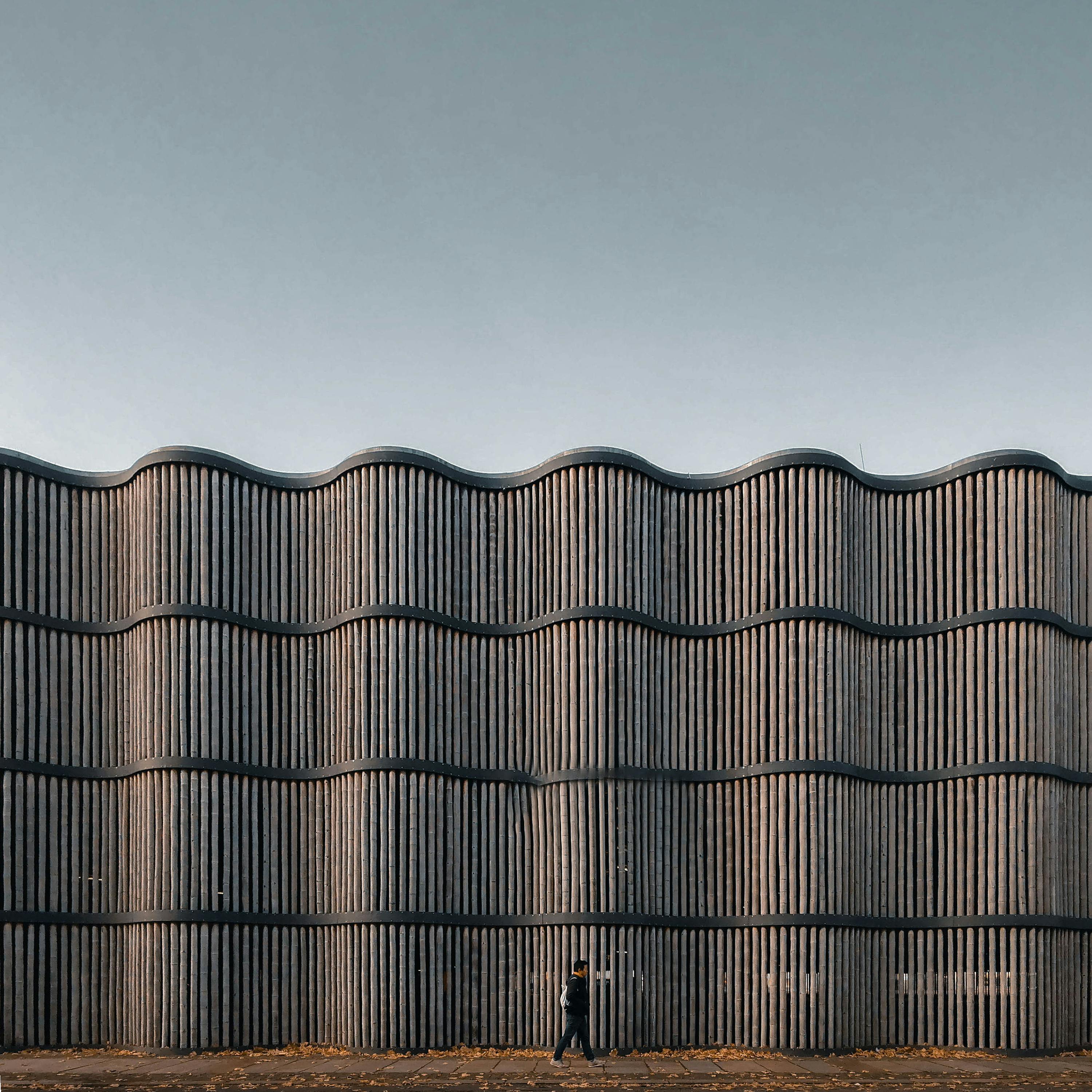 Silver Starlets Jess Photos, Download The BEST Free Silver Starlets ...