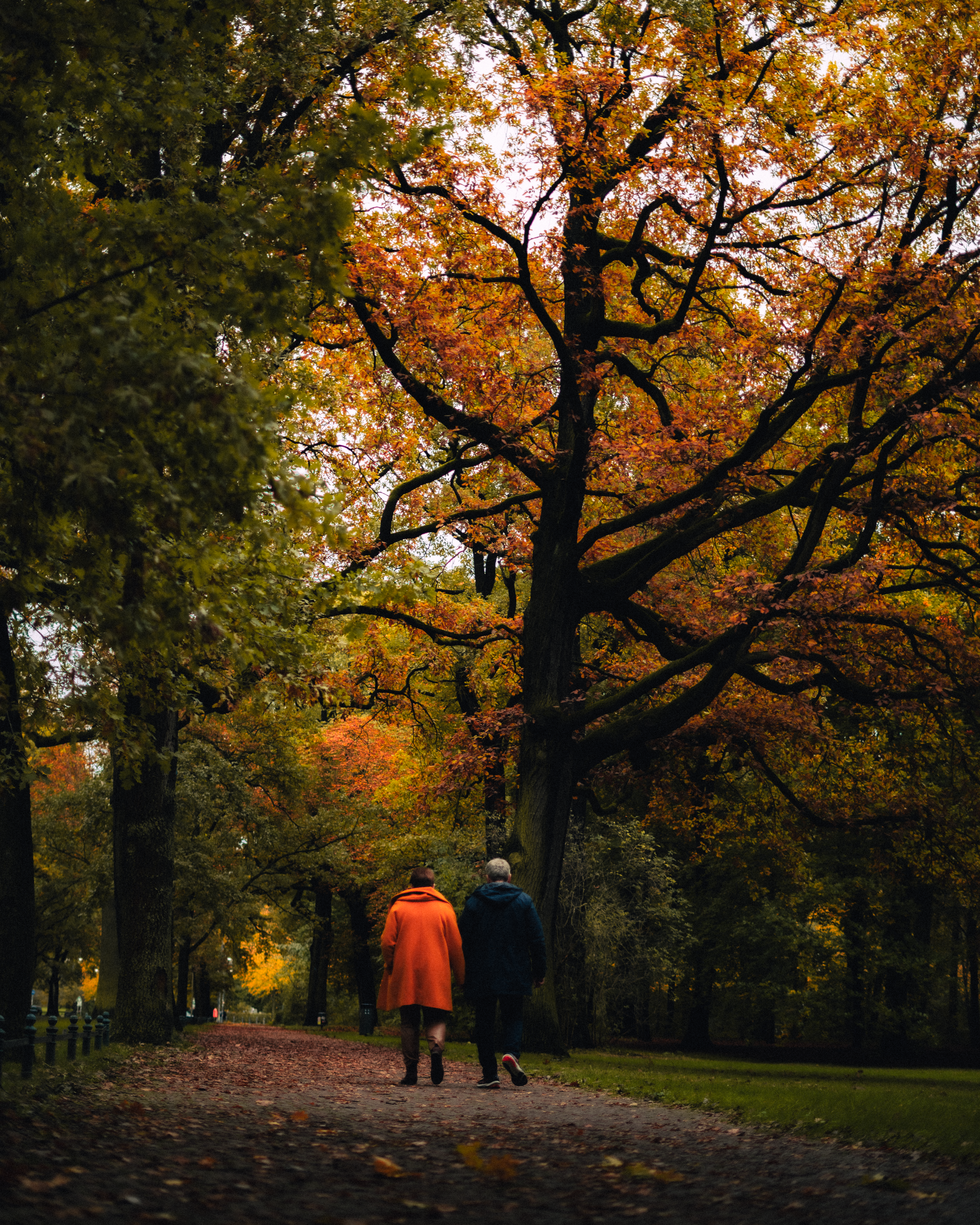 Walk In The Park Photos, Download The BEST Free Walk In The Park Stock ...