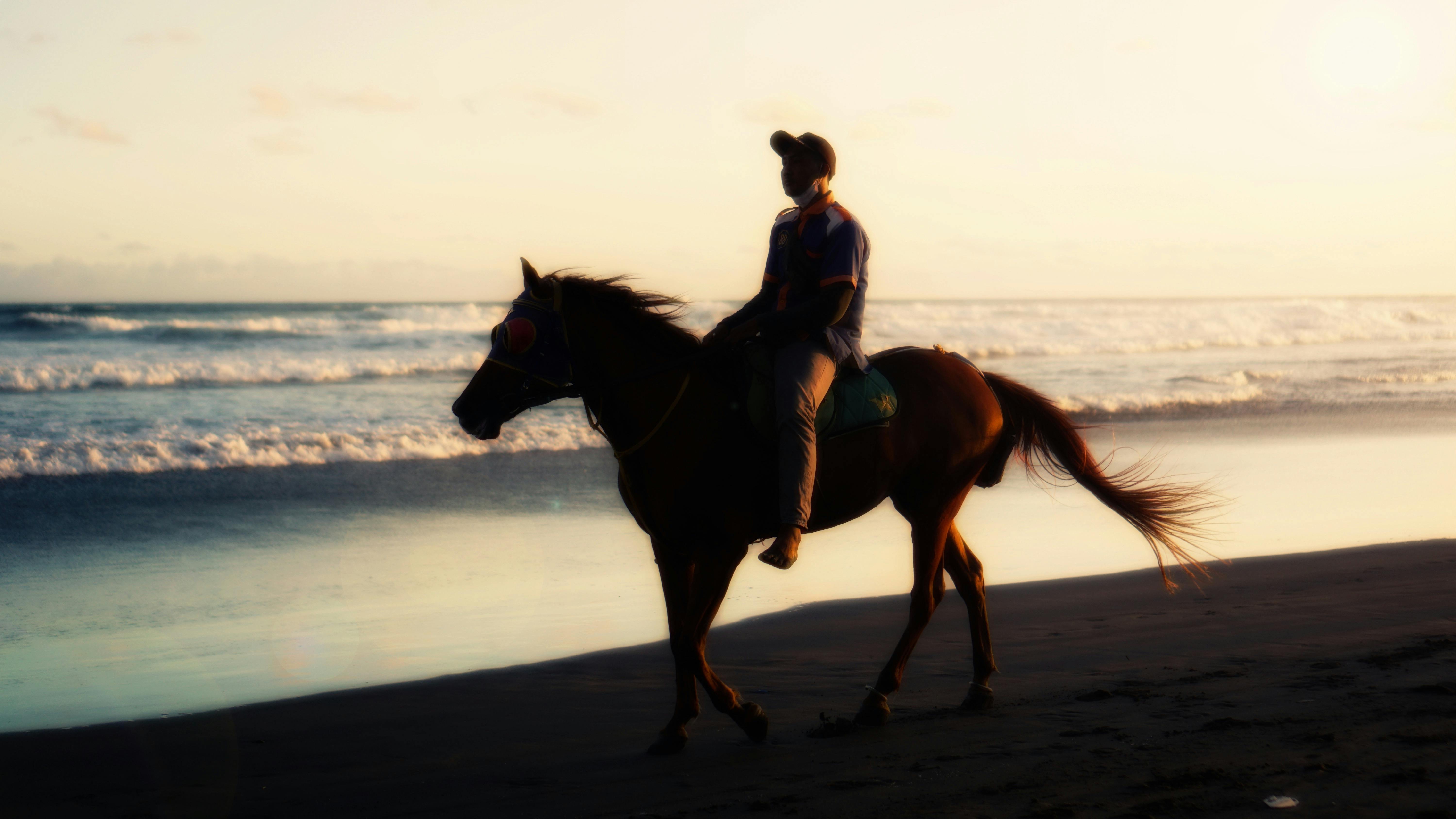 Saddam Umar Husain - Photography