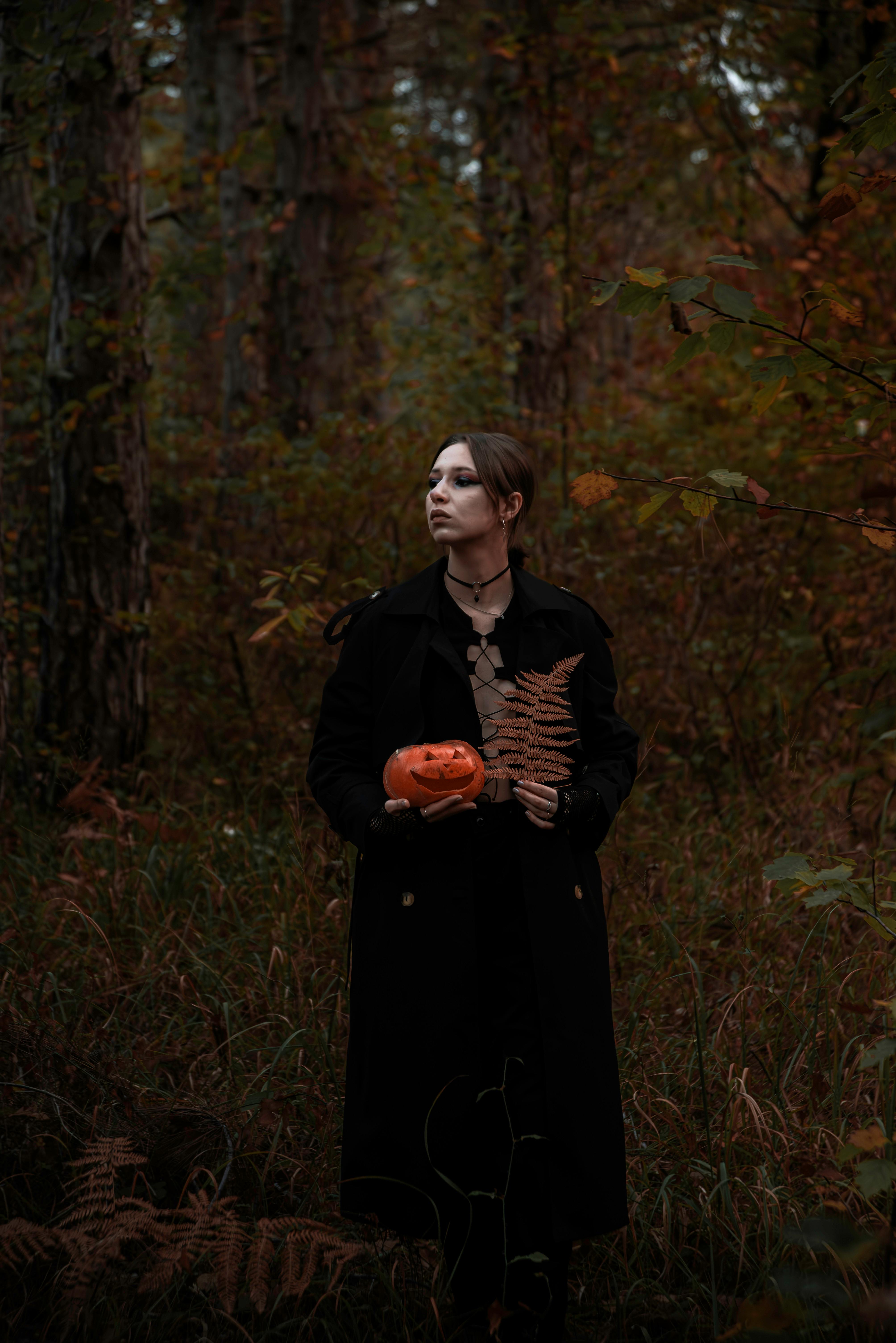 Pumpkin Trees Photos, Download The BEST Free Pumpkin Trees Stock Photos ...