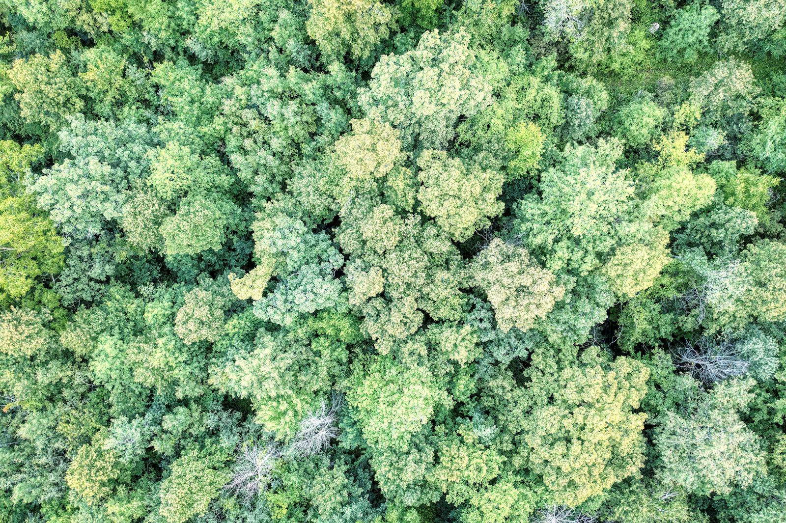 30 000+ Alley Texture banque d’images et photos libres de droit ...