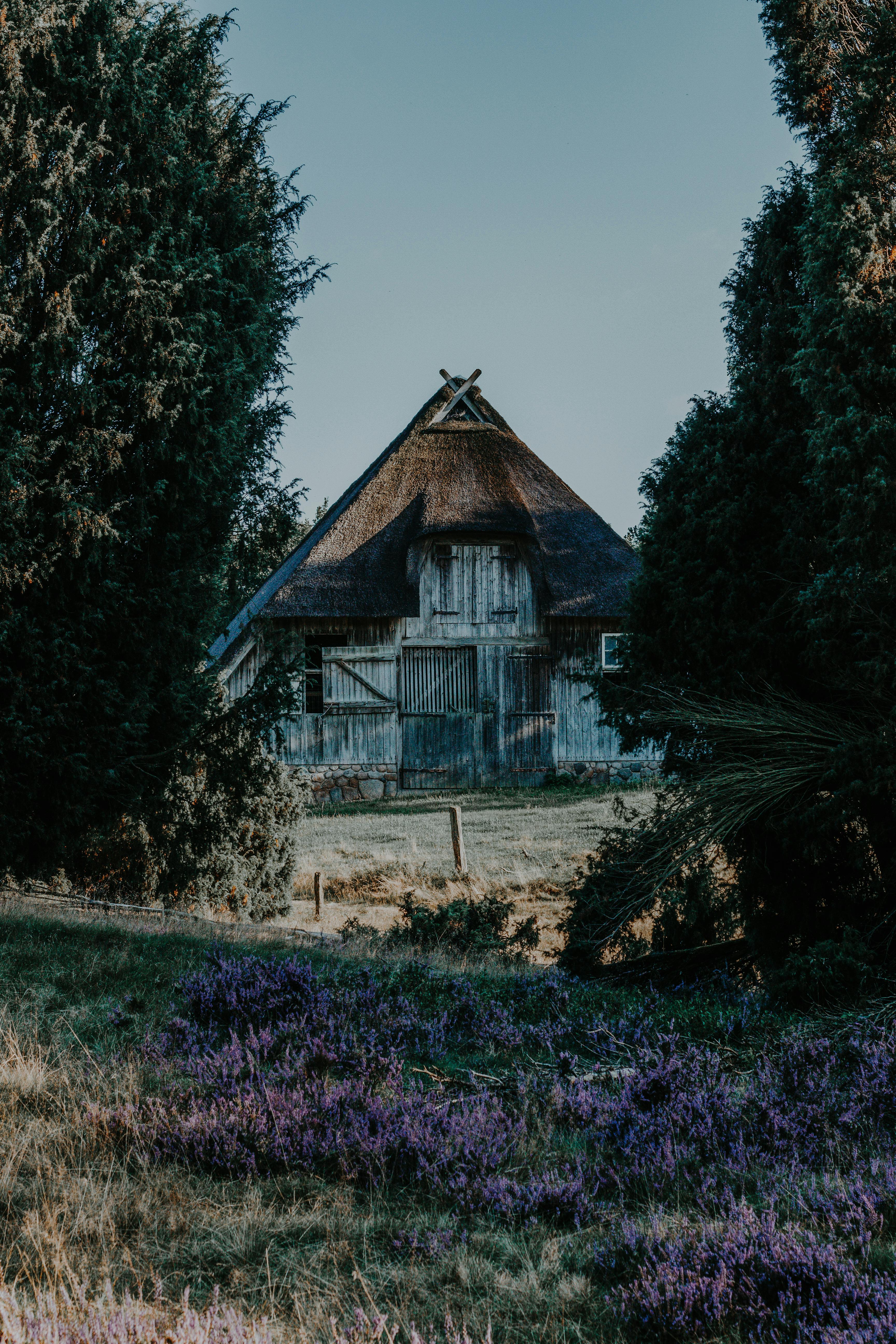 Kostenloses Foto zum Thema: altmodisch, architektur, aromatische ...