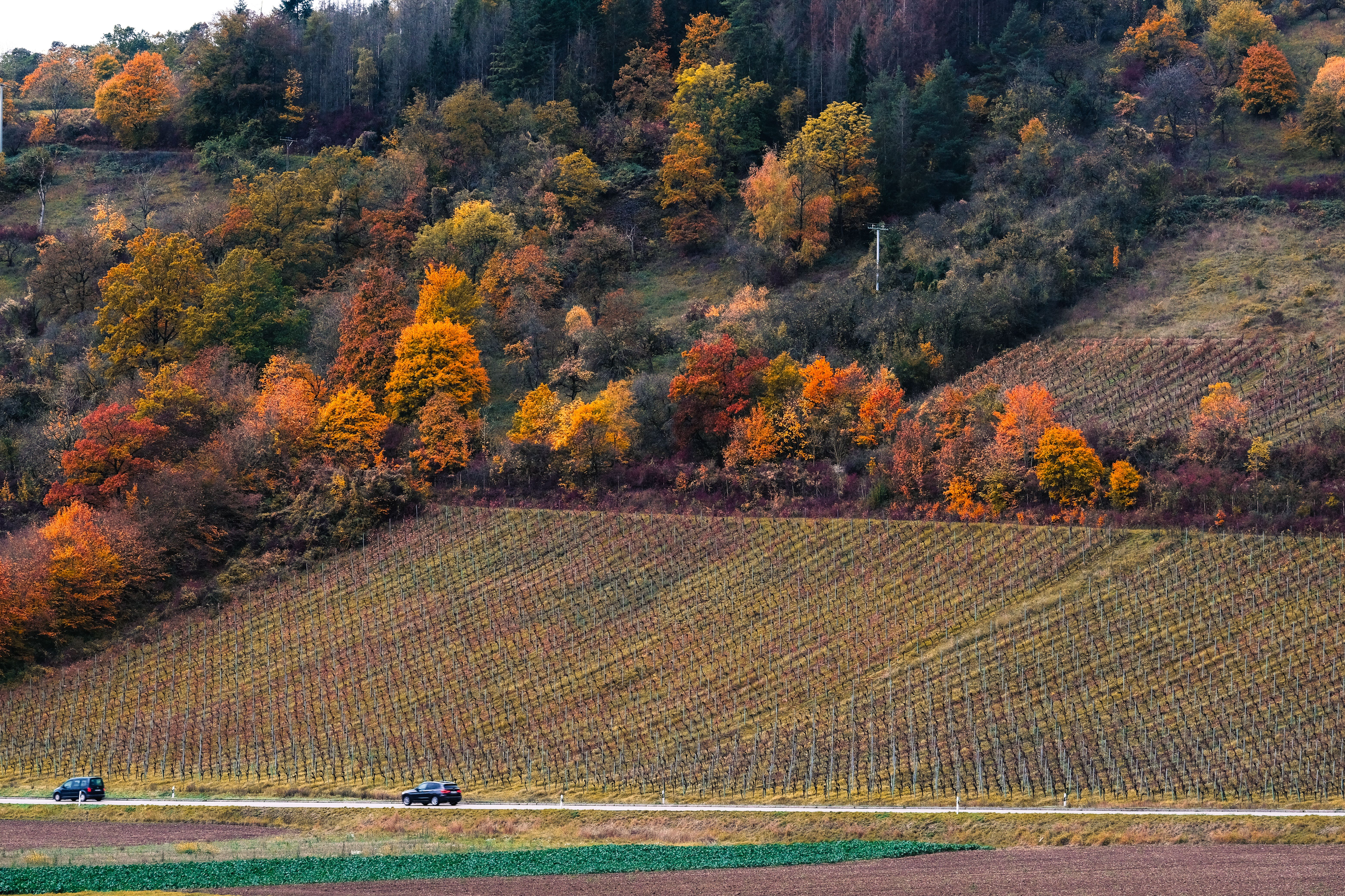 Rural Landscape in Autumn · Free Stock Photo