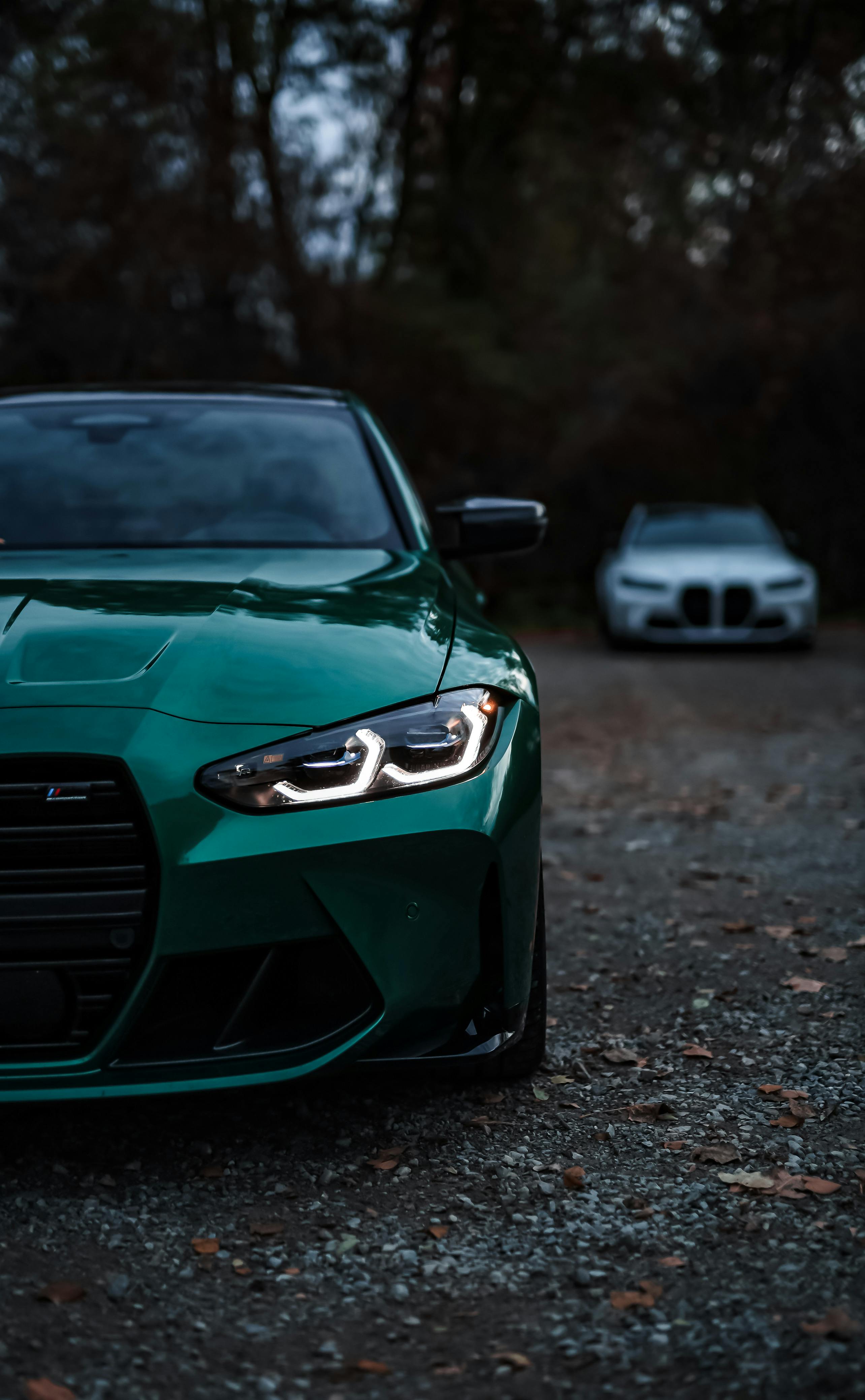 Modern Vampire Photos, Download The BEST Free Modern Vampire Stock ...