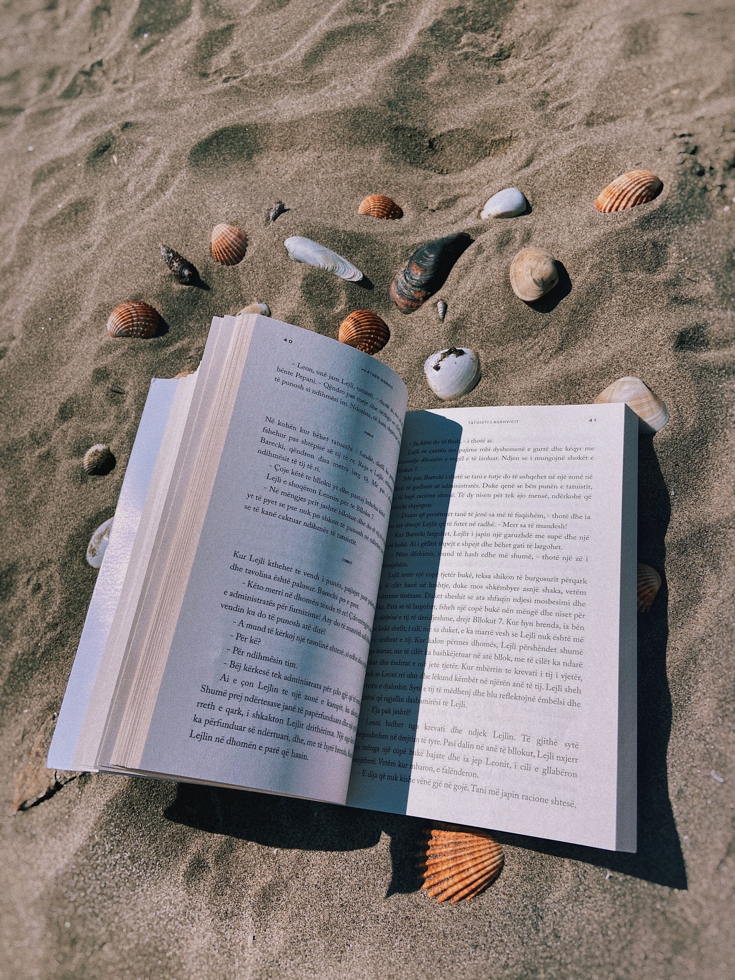 Open Book and Shells around · Free Stock Photo