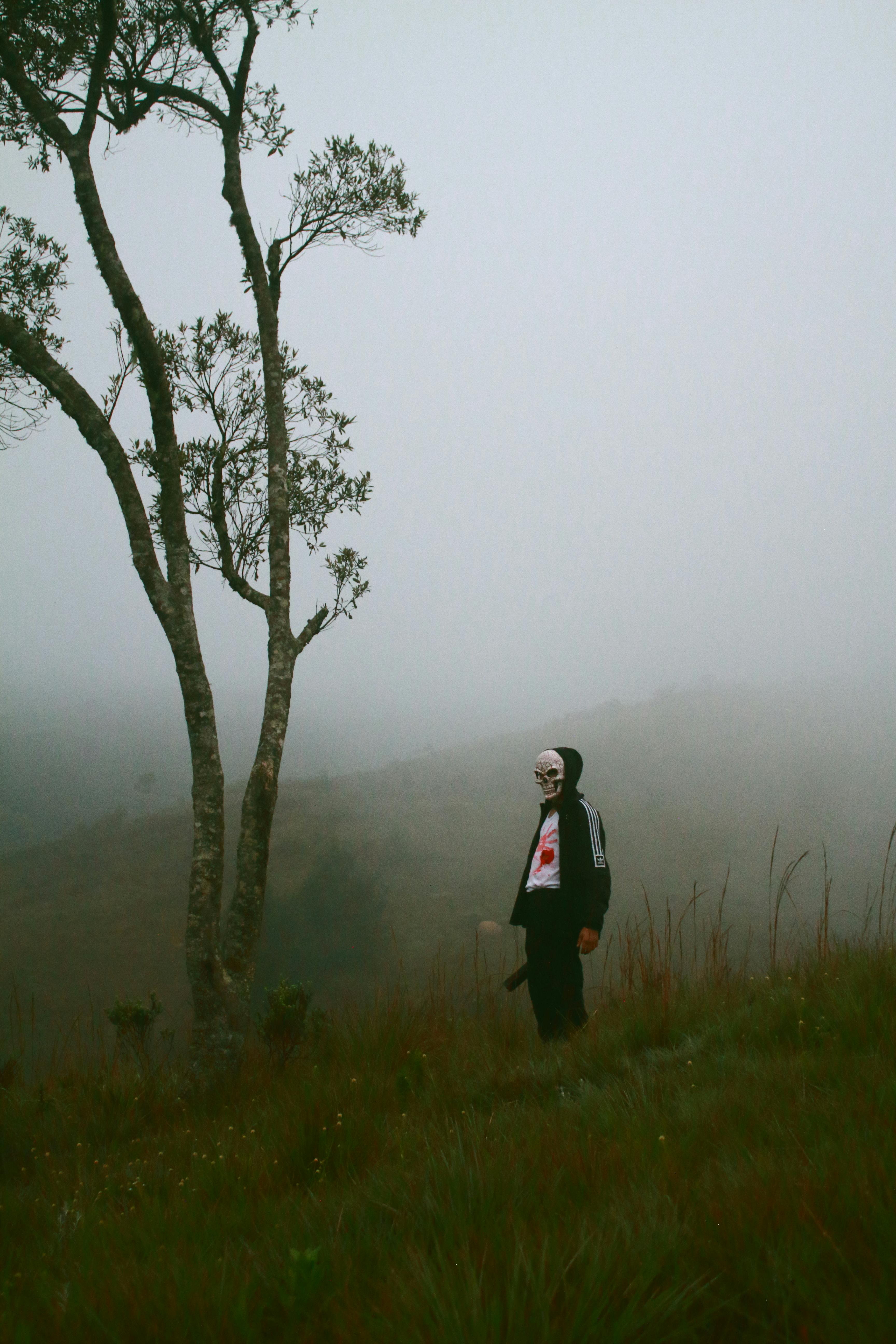 Spooky Man Standing on a Foggy Hill · Free Stock Photo