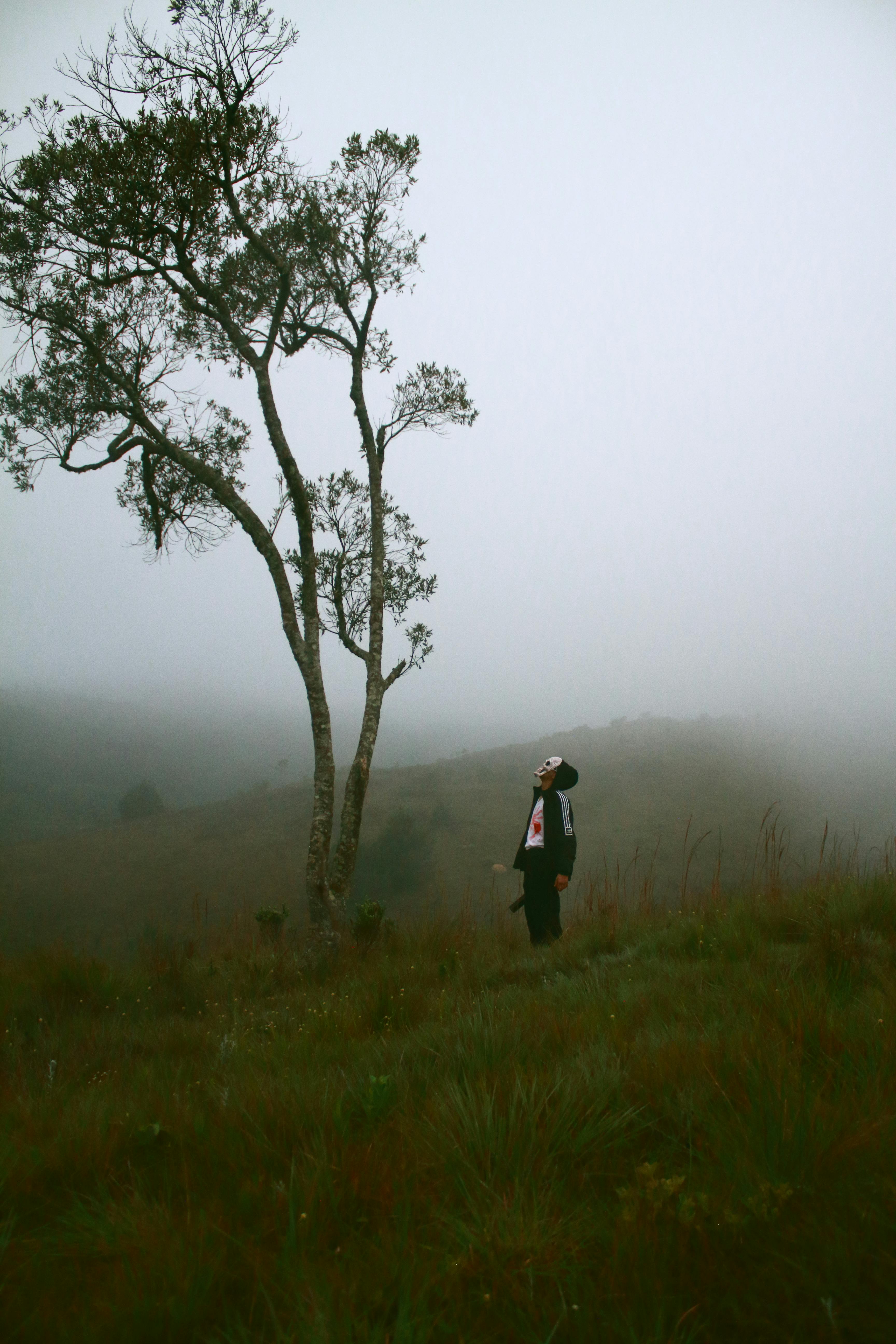 Man in a Spooky Costume Standing on a Hill · Free Stock Photo