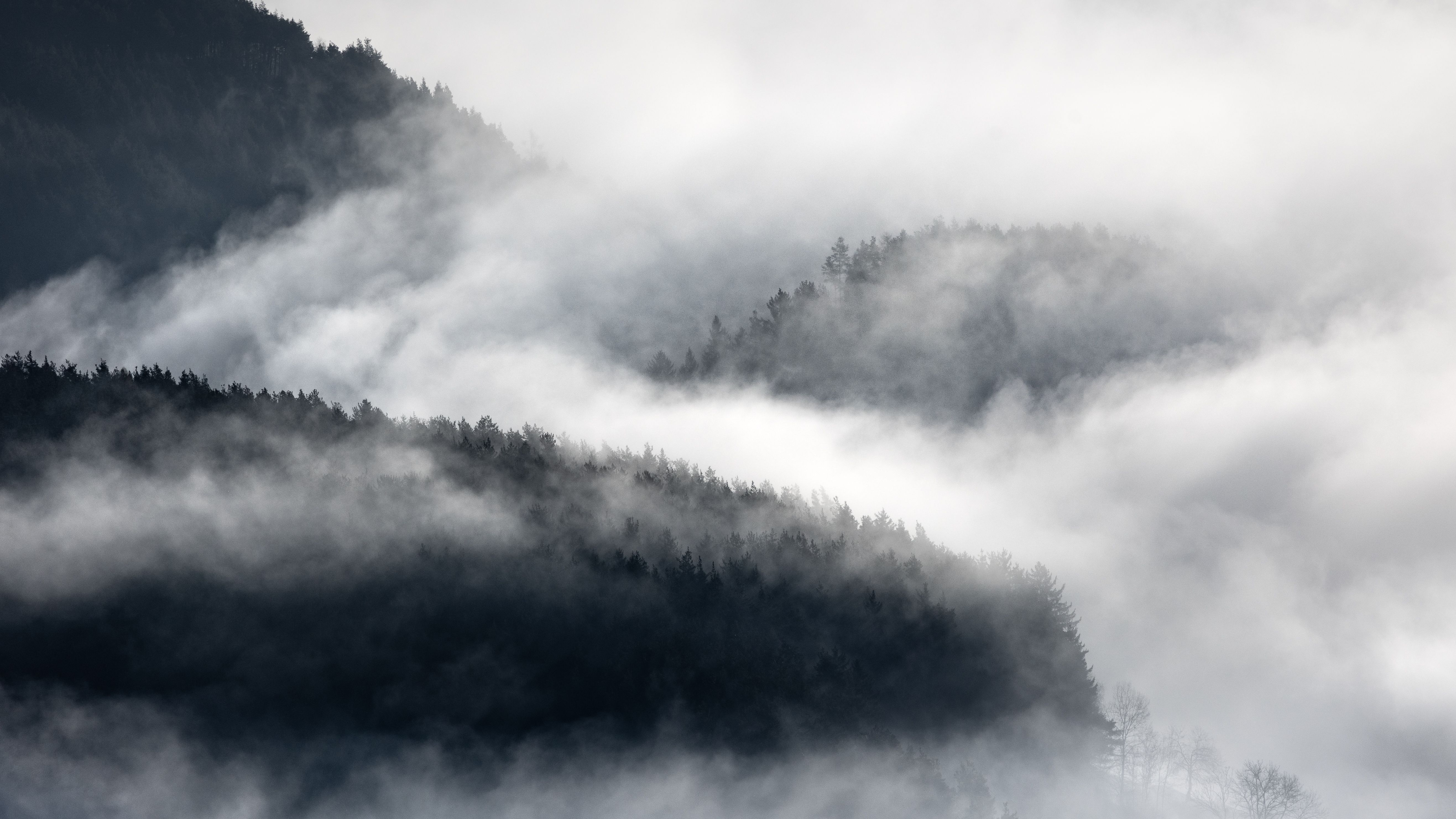 "Morning Fogs" · Free Stock Photo